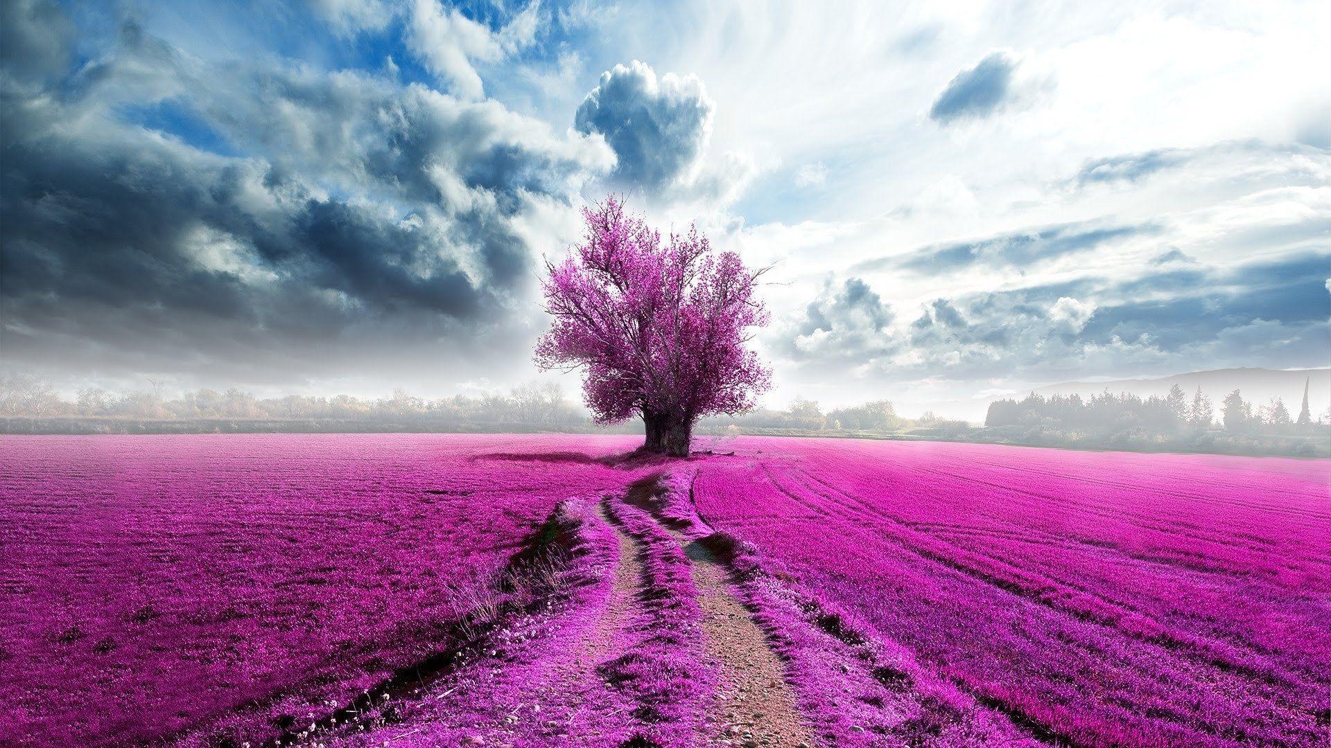 Purple Tree Wallpapers - Top Free Purple Tree Backgrounds - WallpaperAccess