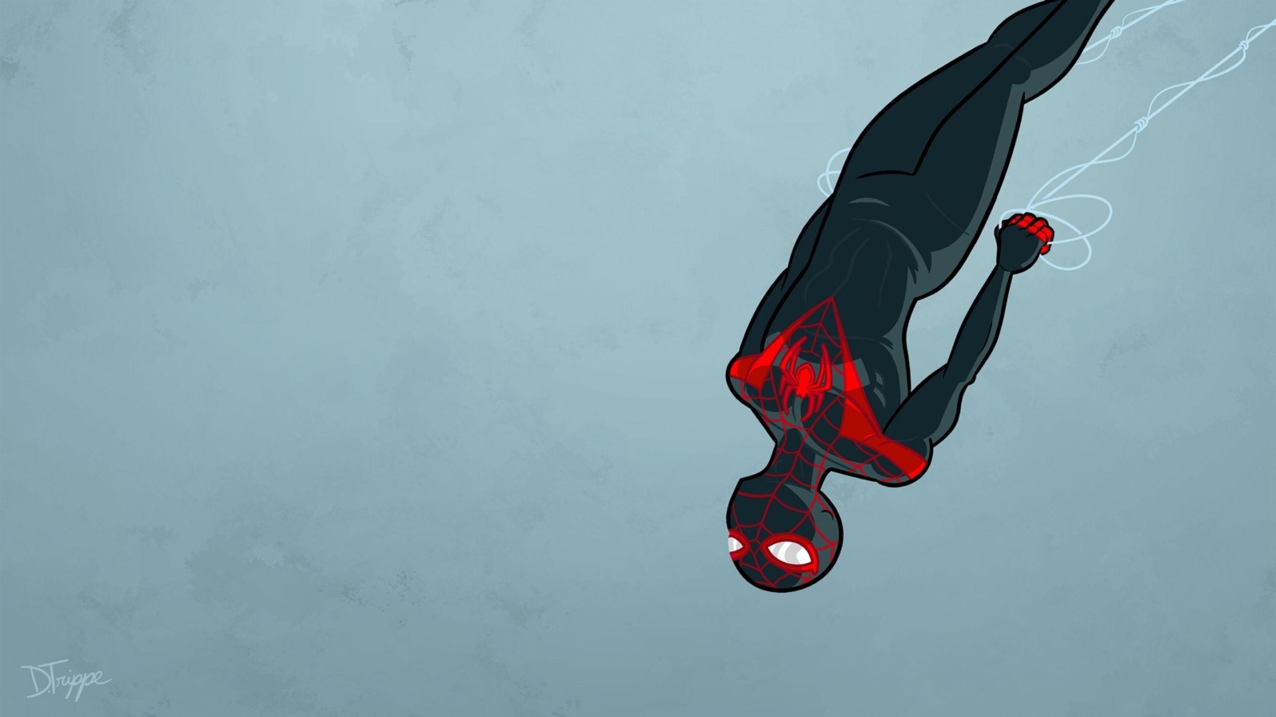 Minimalist Spiderman Wallpapers - Top Free Minimalist Spiderman ...