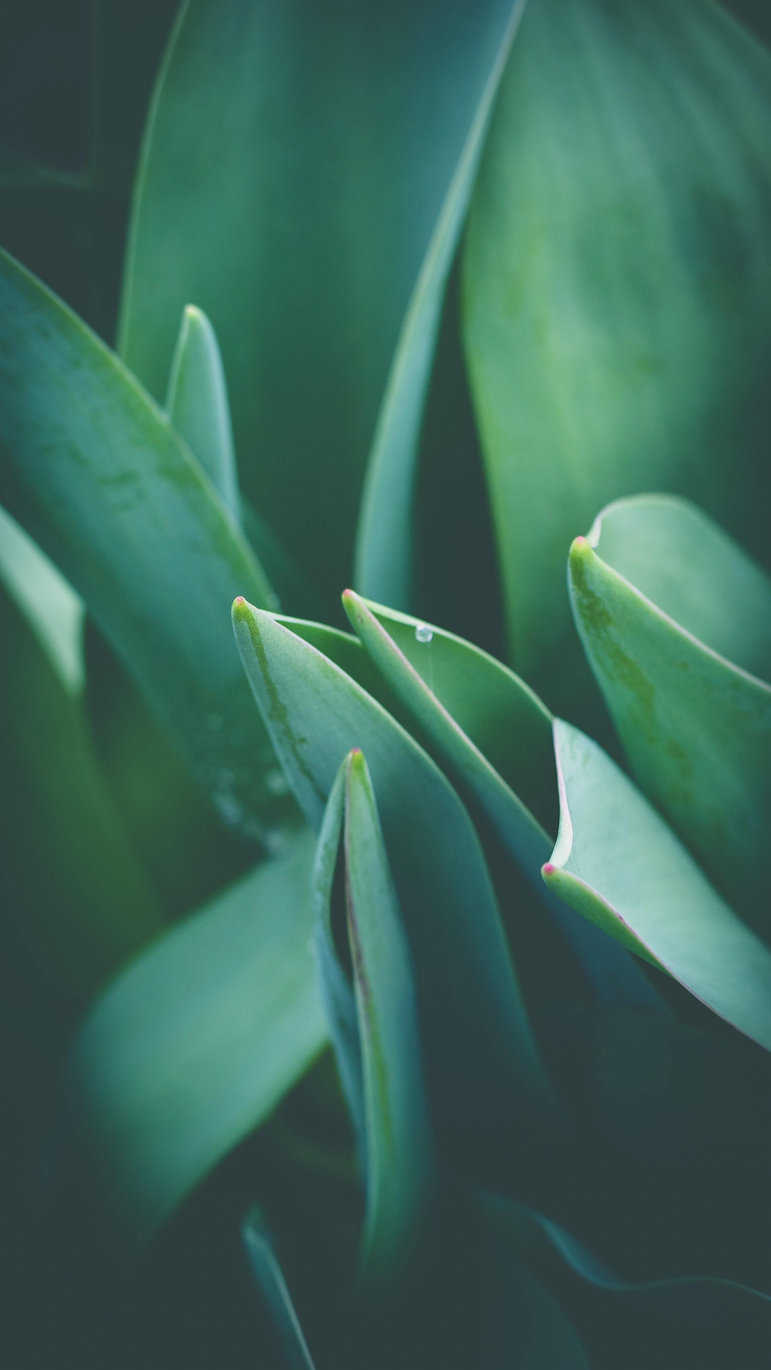 9:16 Wallpapers - Top Free 9:16 Backgrounds - WallpaperAccess