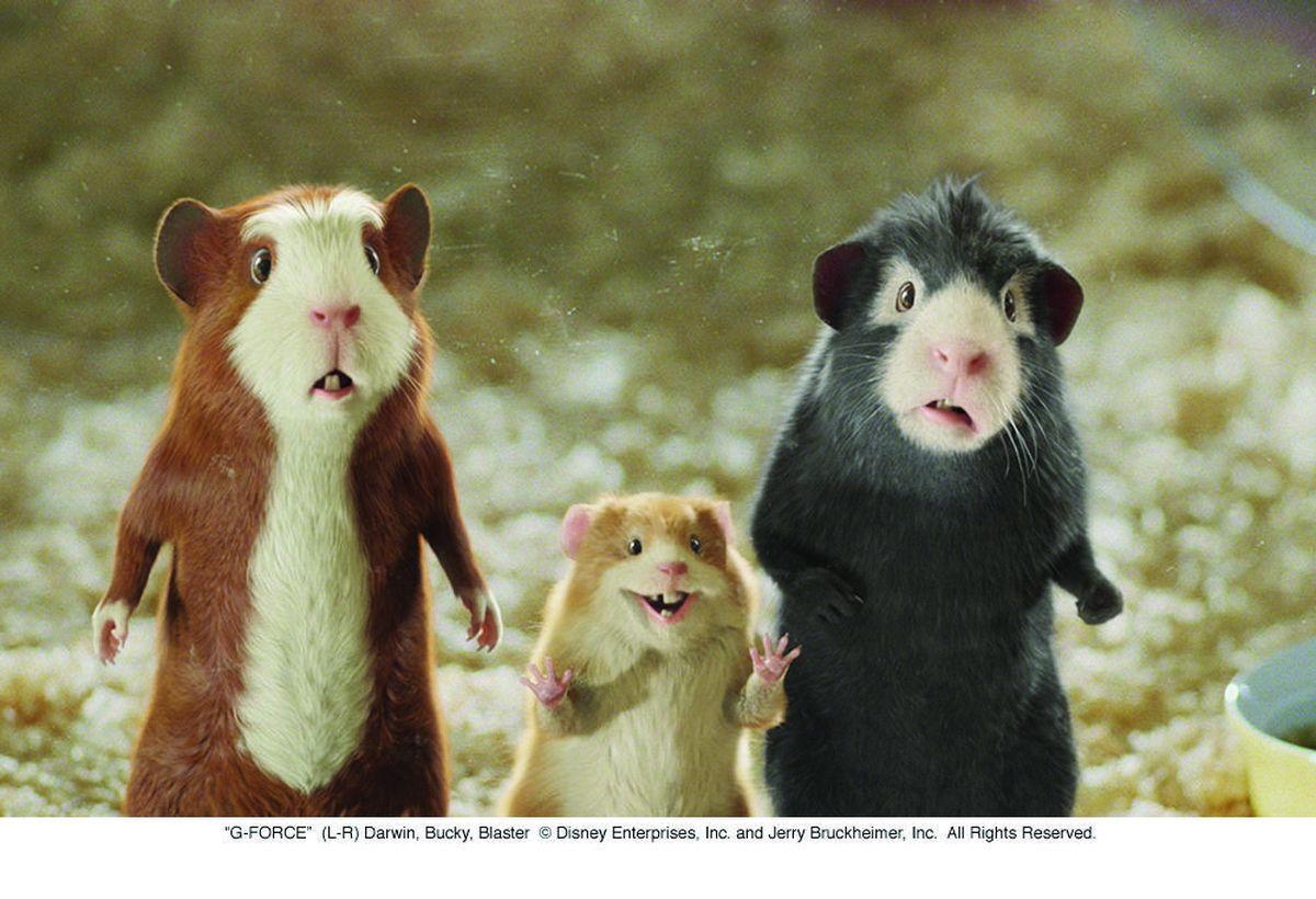 G-FORCE Wallpapers - Top Free G-FORCE Backgrounds - WallpaperAccess