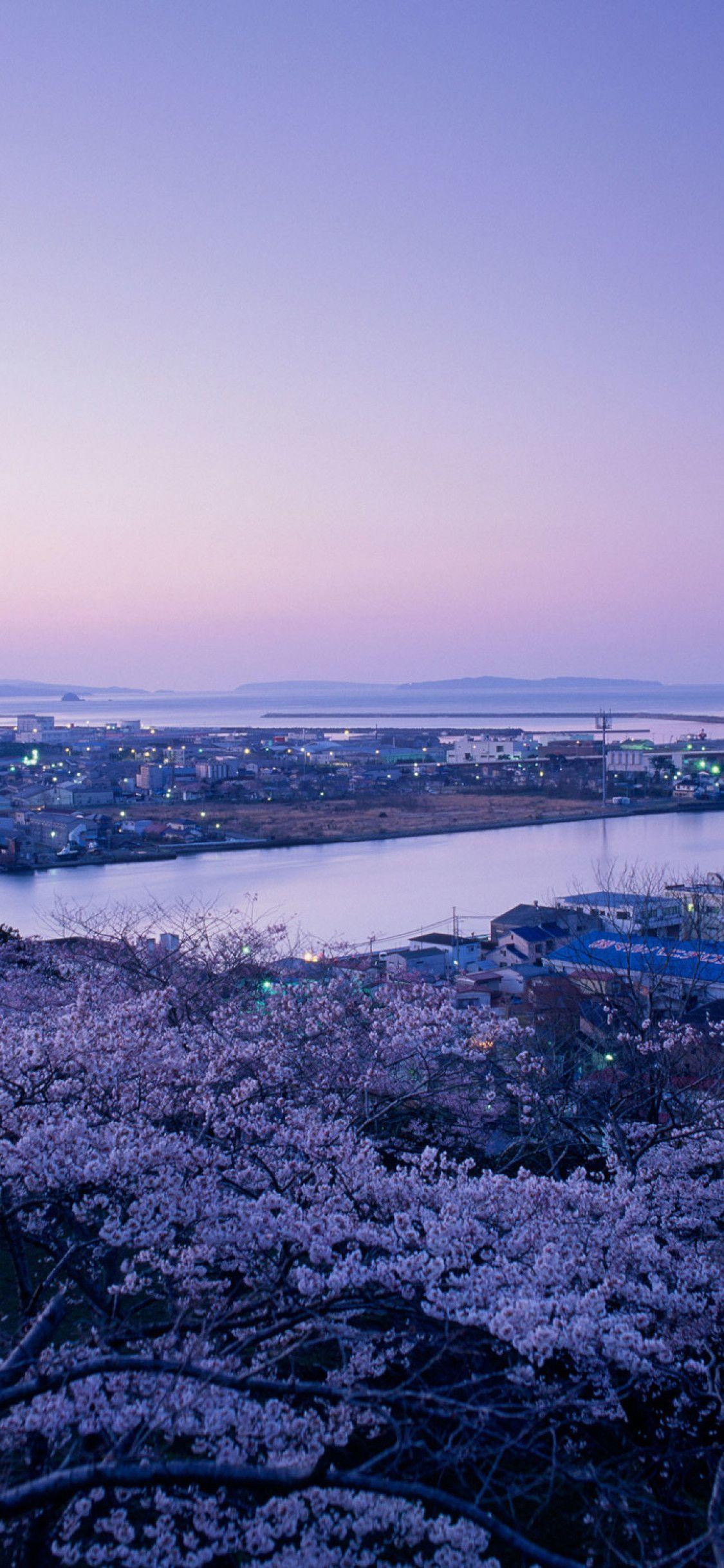 Japan iPhone Wallpapers - Top Free Japan iPhone Backgrounds ...