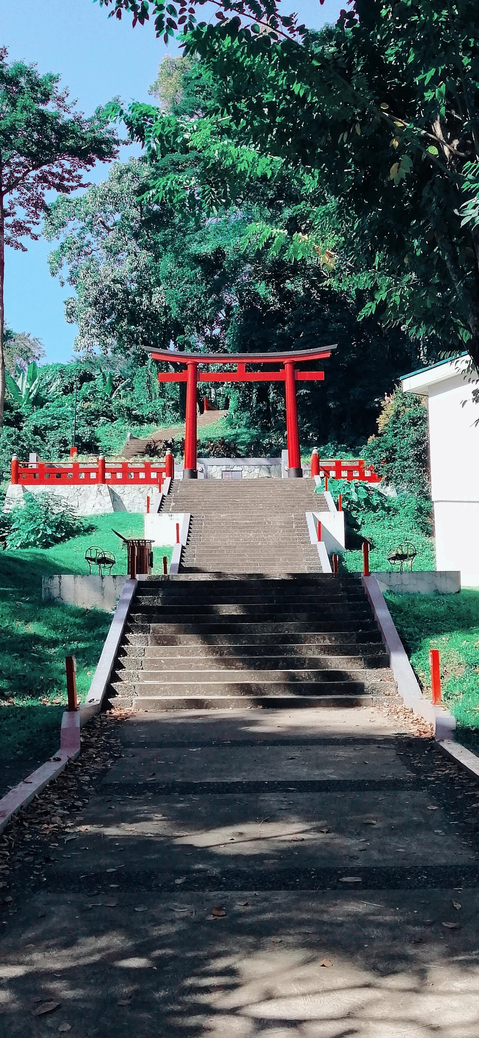 Shinto Shrine Wallpapers - Top Free Shinto Shrine Backgrounds ...