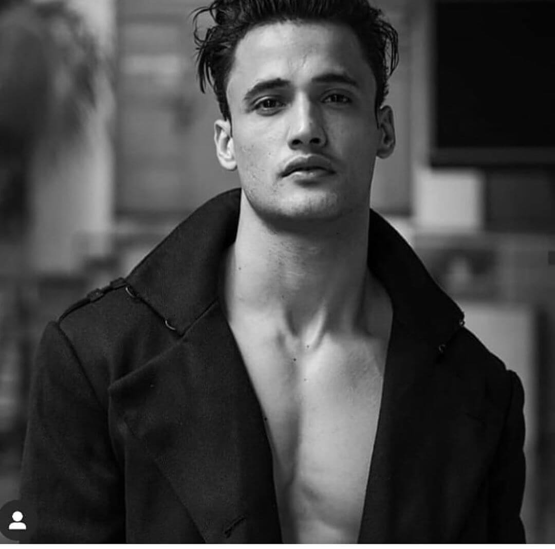 Asim Riaz Wallpapers - Top Free Asim Riaz Backgrounds - WallpaperAccess