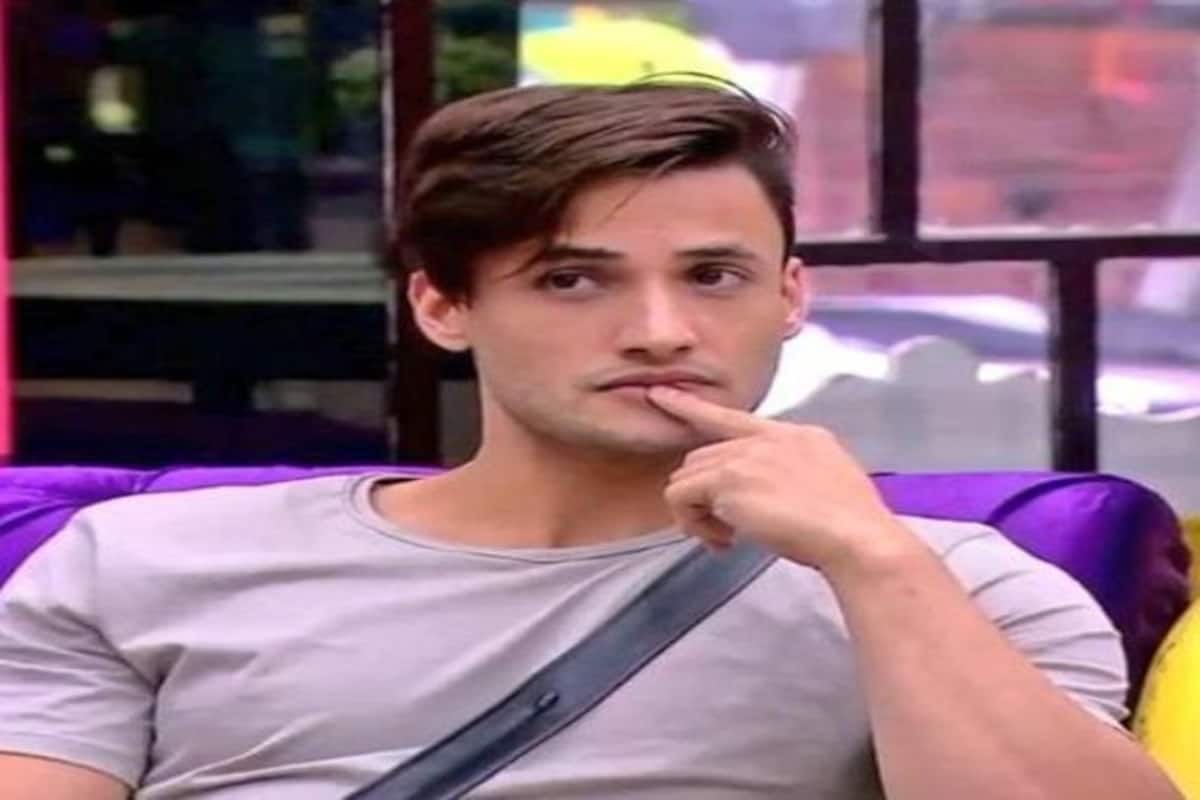 Asim Riaz Wallpapers - Top Free Asim Riaz Backgrounds - WallpaperAccess