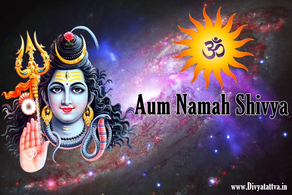 Siba Wallpapers - Top Free Siba Backgrounds - WallpaperAccess