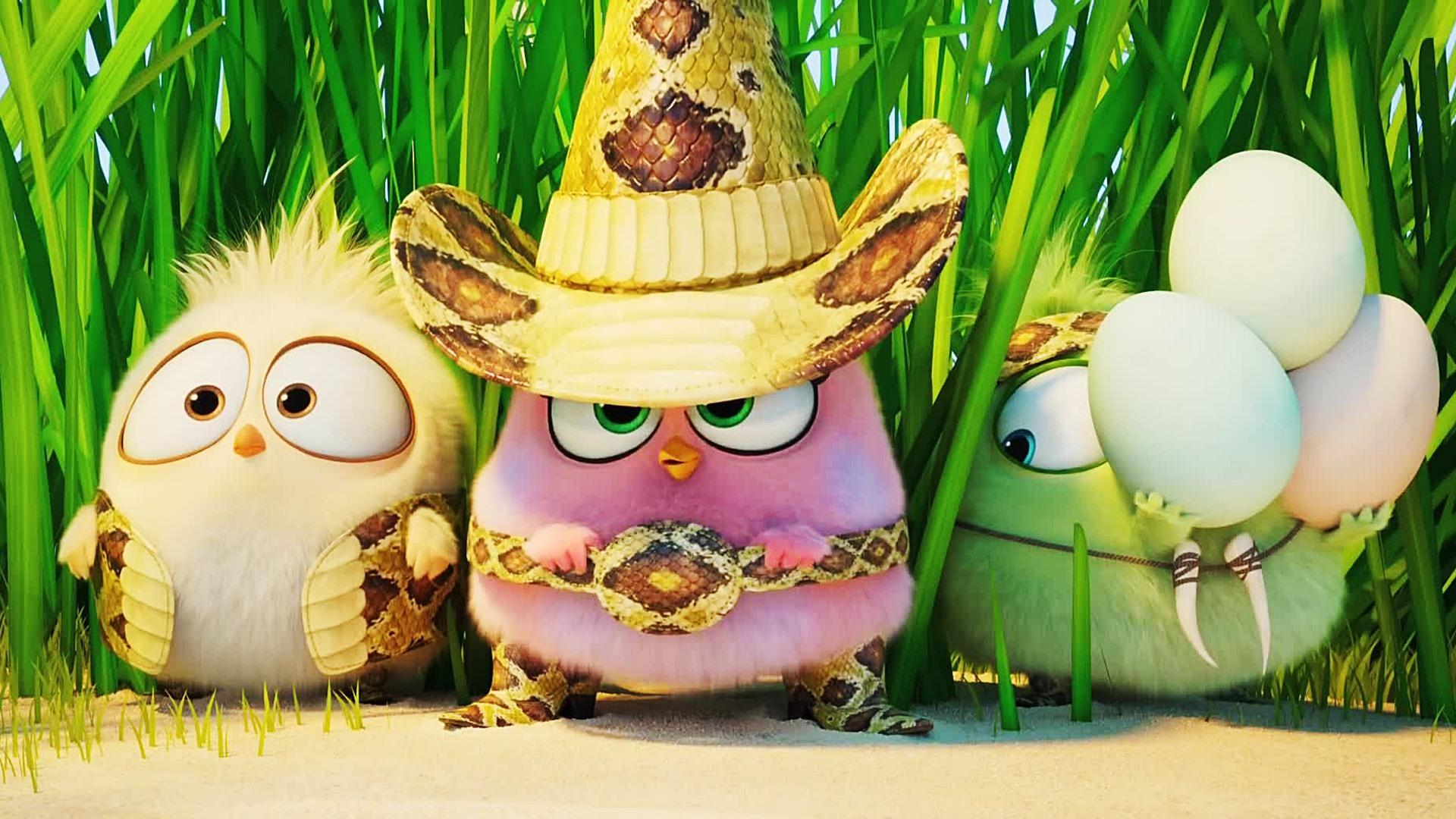 Angry Birds 2 Wallpapers - Top Free Angry Birds 2 Backgrounds ...