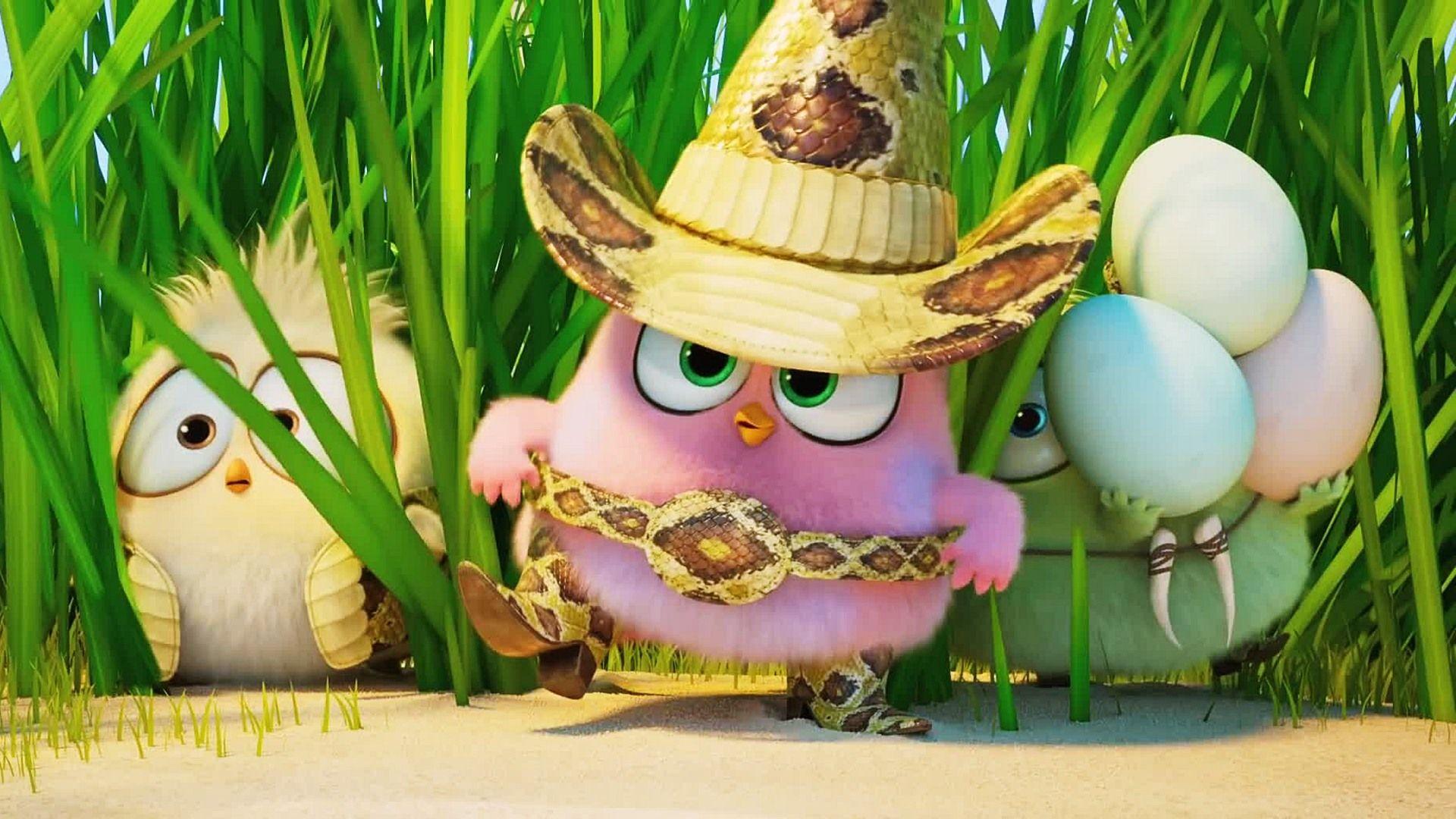 Angry Birds 2 Wallpapers - Top Free Angry Birds 2 Backgrounds ...