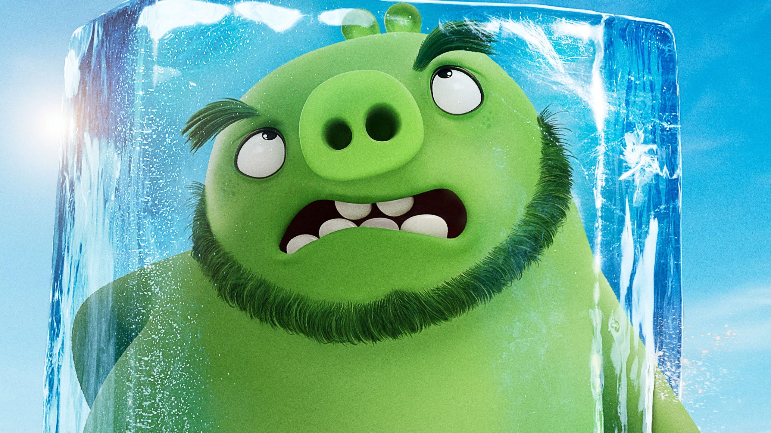 Angry Birds 2 Wallpapers - Top Free Angry Birds 2 Backgrounds ...