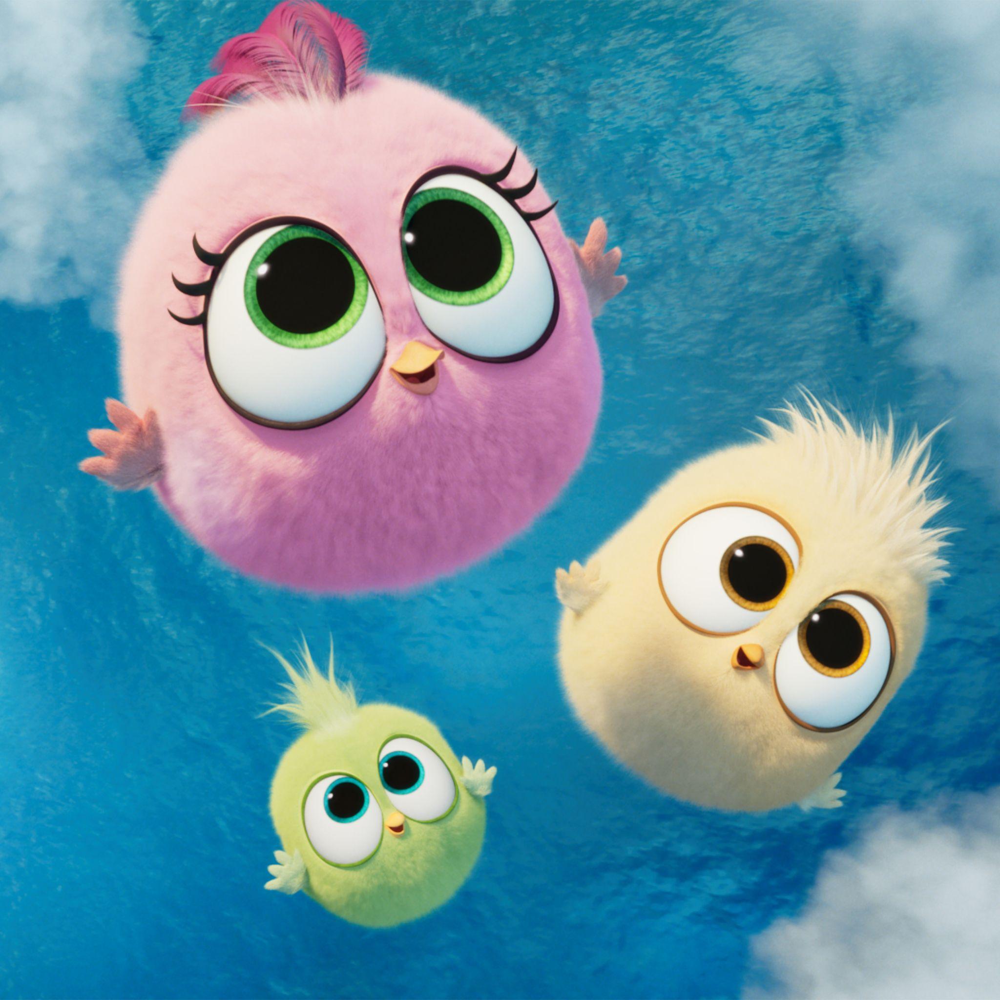 Angry Birds 2 Wallpapers - Top Free Angry Birds 2 Backgrounds ...