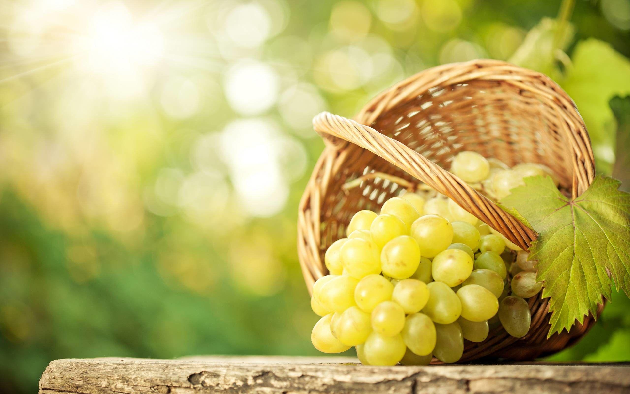 Grapes Wallpapers - Top Free Grapes Backgrounds - WallpaperAccess