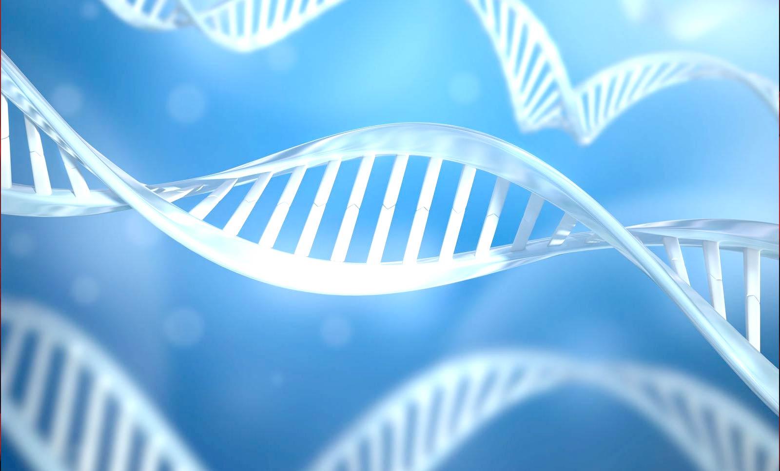 Biotechnology Wallpapers - Top Free Biotechnology Backgrounds ...