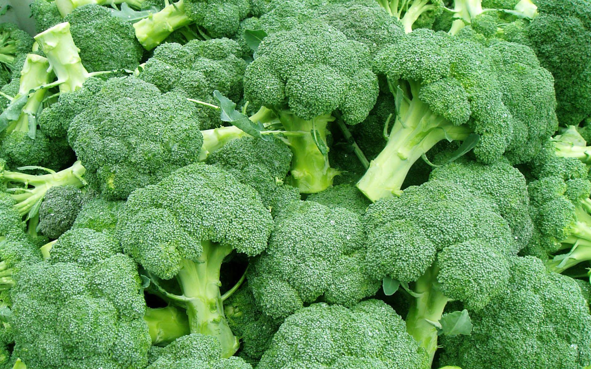 Broccoli Wallpapers - Top Free Broccoli Backgrounds - WallpaperAccess