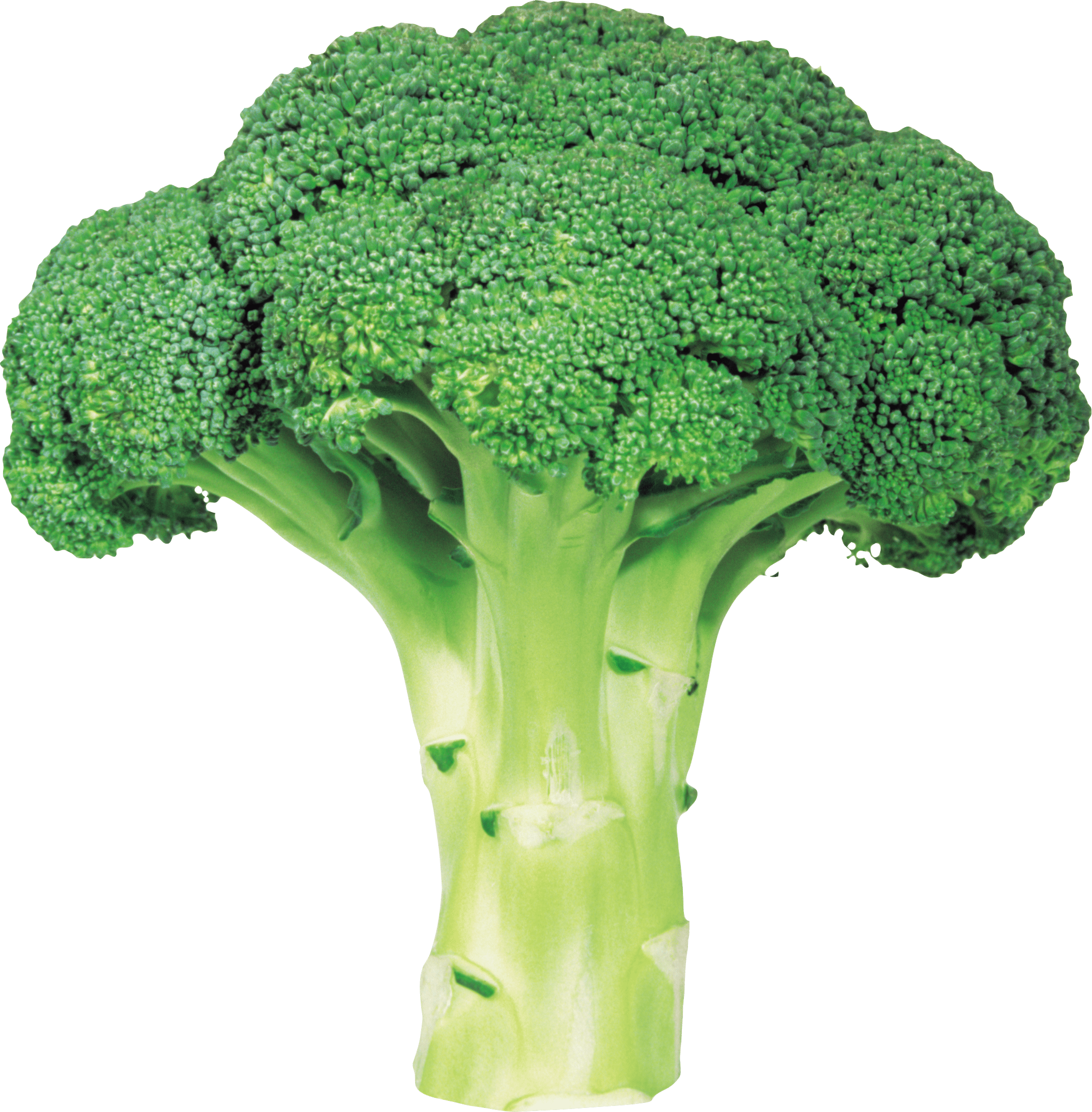 Broccoli Wallpapers - Top Free Broccoli Backgrounds - WallpaperAccess