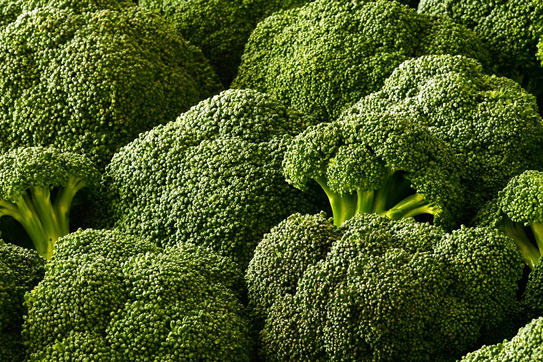 Broccoli Wallpapers - Top Free Broccoli Backgrounds - WallpaperAccess