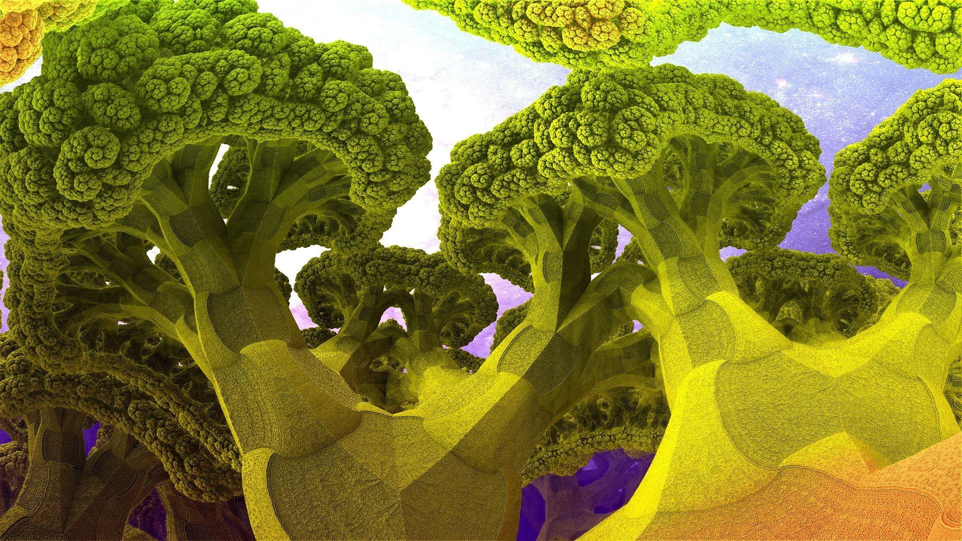 Broccoli Wallpapers - Top Free Broccoli Backgrounds - WallpaperAccess