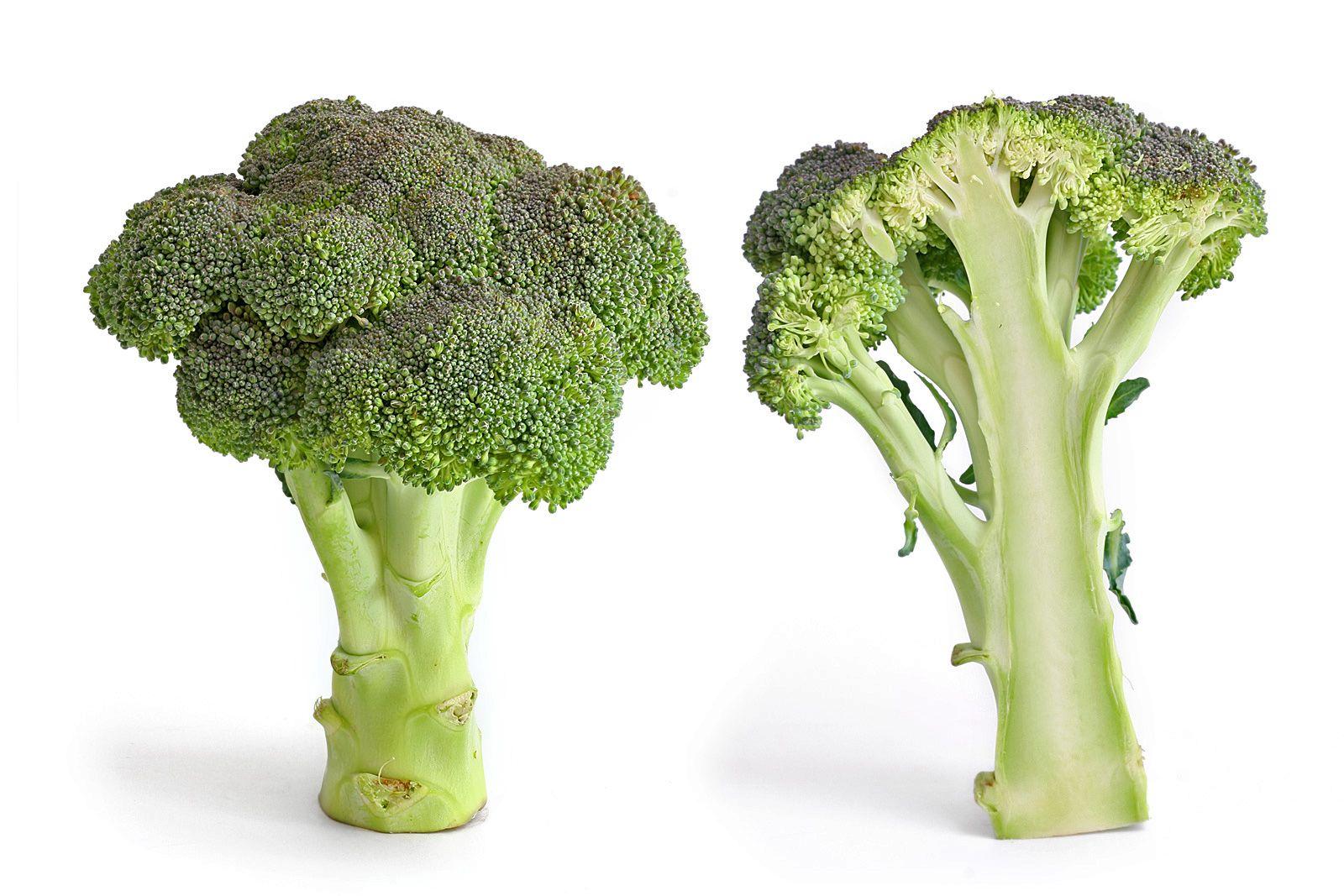Broccoli Wallpapers - Top Free Broccoli Backgrounds - WallpaperAccess