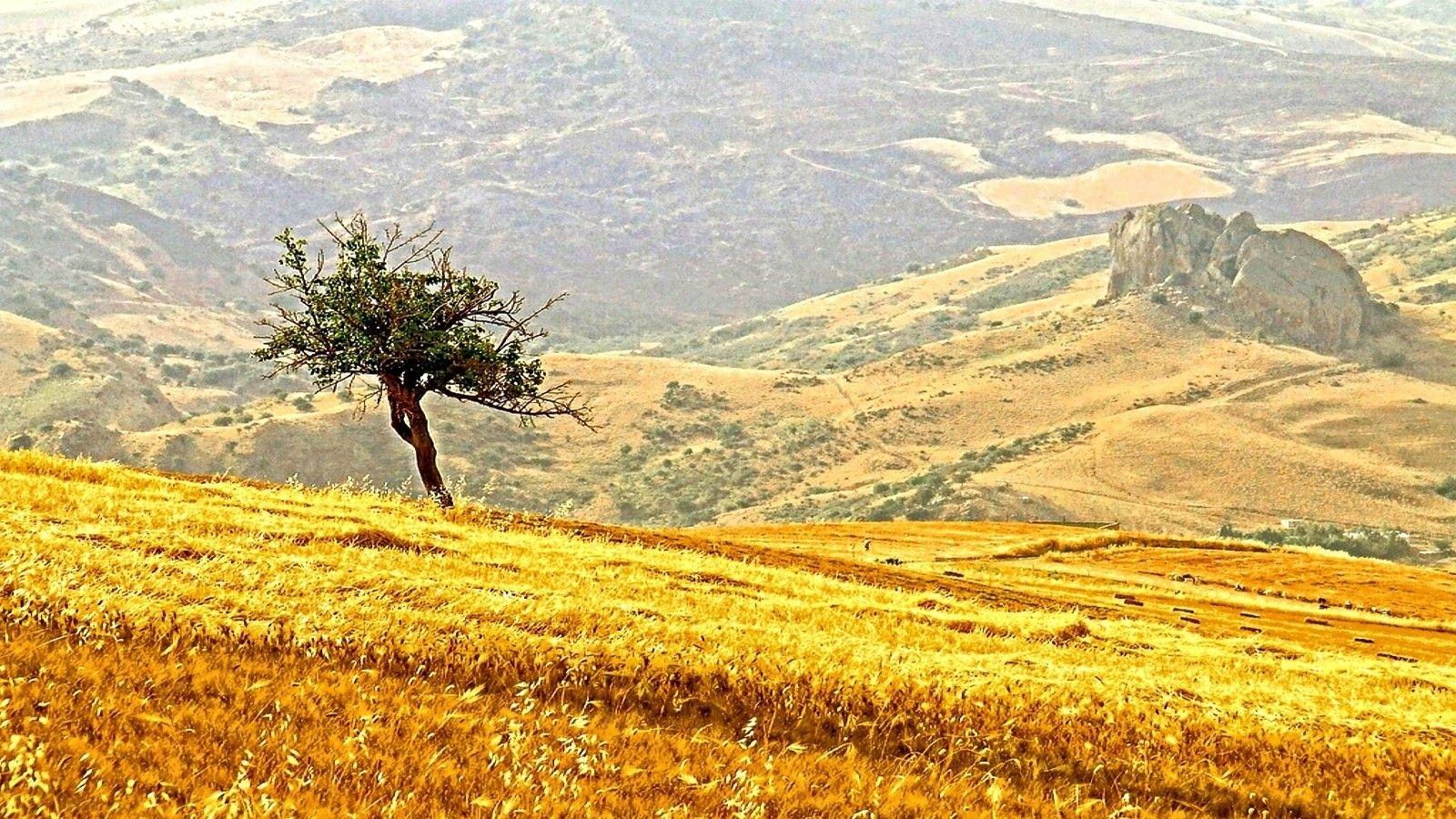 Sicilian Wallpapers - Top Free Sicilian Backgrounds - WallpaperAccess