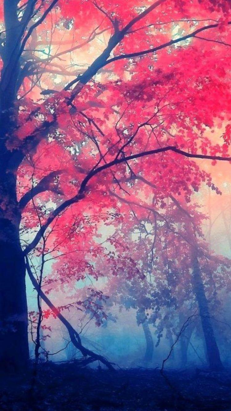 Pink Forest Wallpapers - Top Free Pink Forest Backgrounds - WallpaperAccess