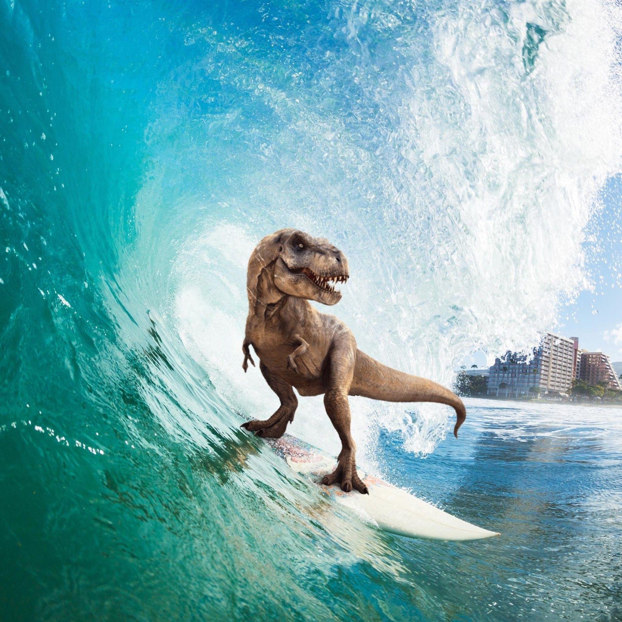 Surf 4k Wallpapers - Top Free Surf 4k Backgrounds - WallpaperAccess