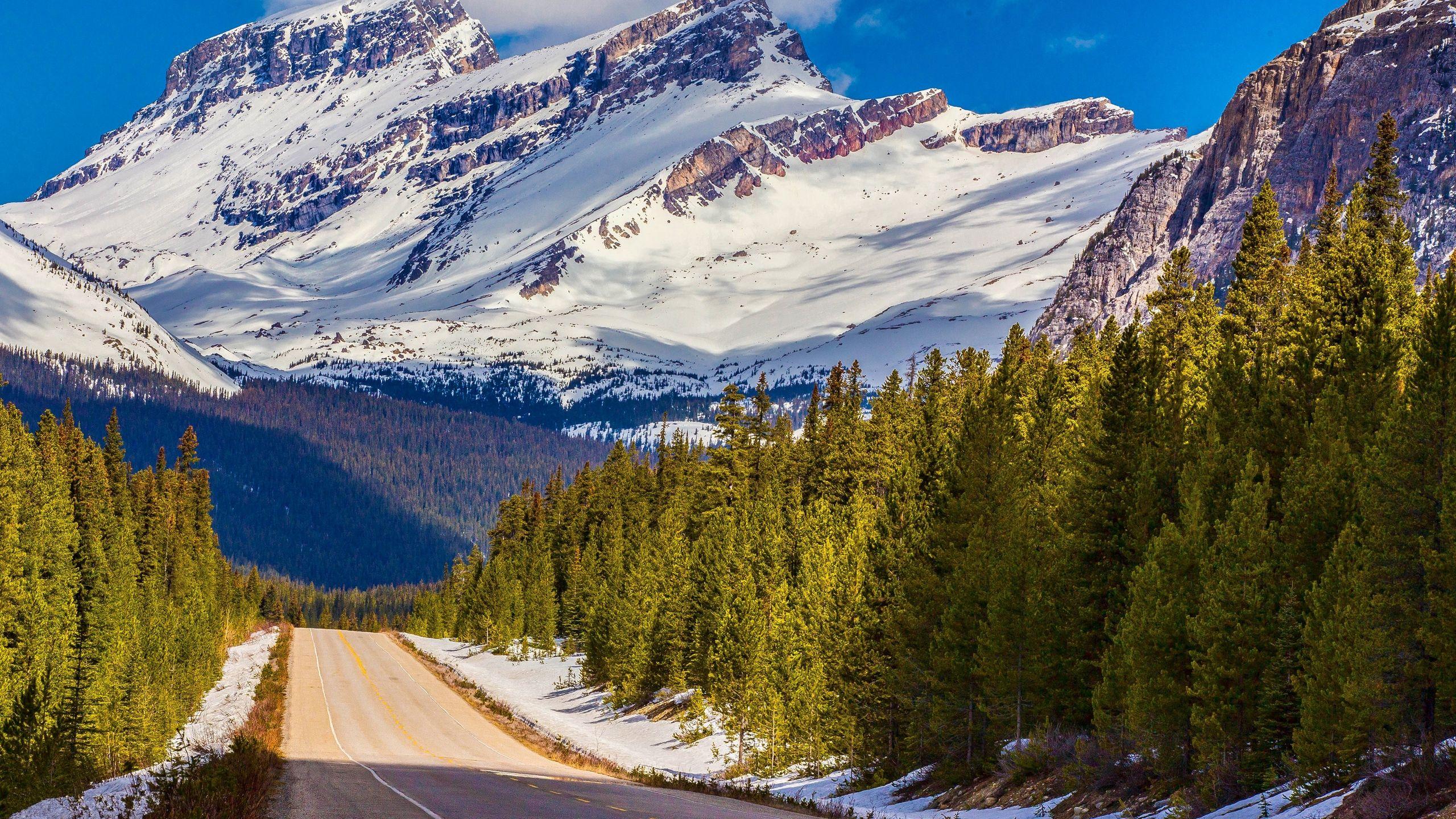 Alberta Canada Wallpapers - Top Free Alberta Canada Backgrounds ...