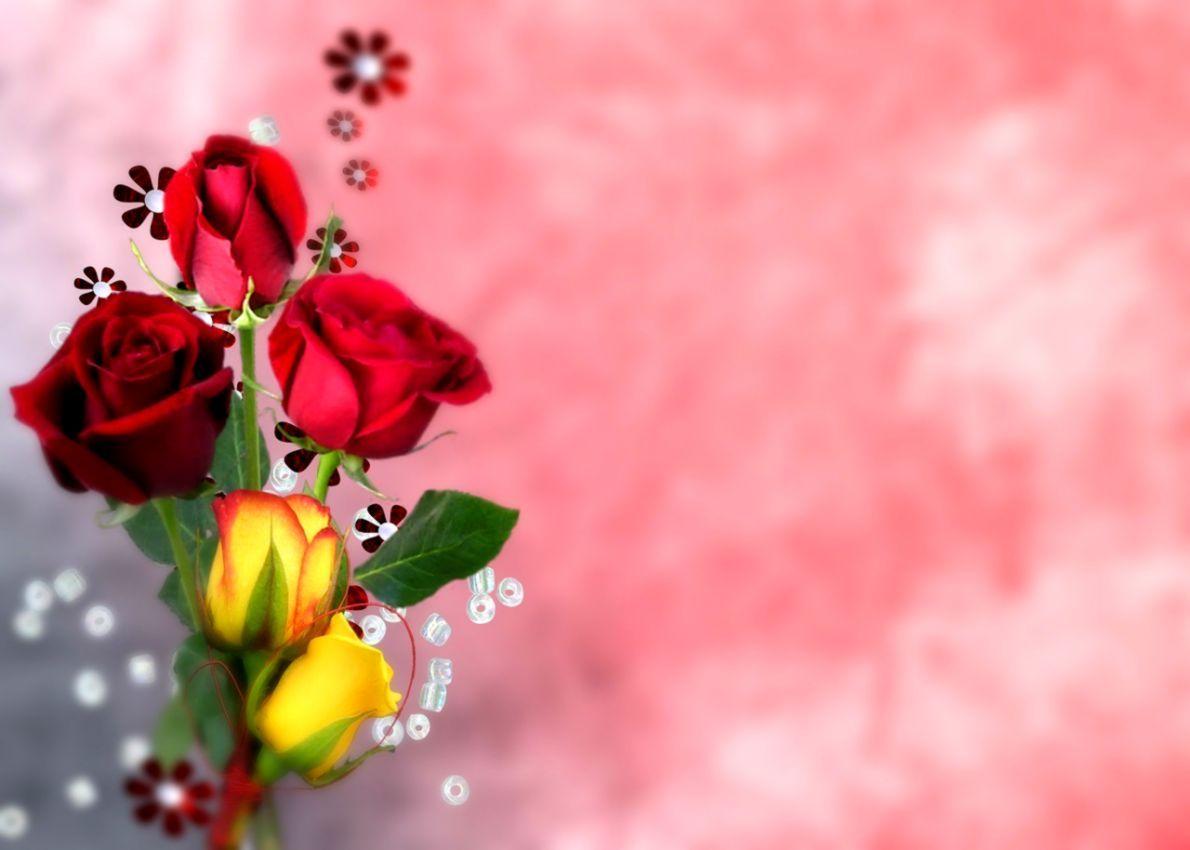 Red Flowers Wallpapers - Top Free Red Flowers Backgrounds - WallpaperAccess
