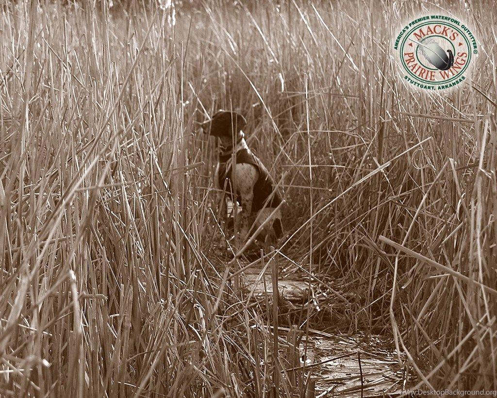 Drake Camo Wallpapers - Top Free Drake Camo Backgrounds - WallpaperAccess