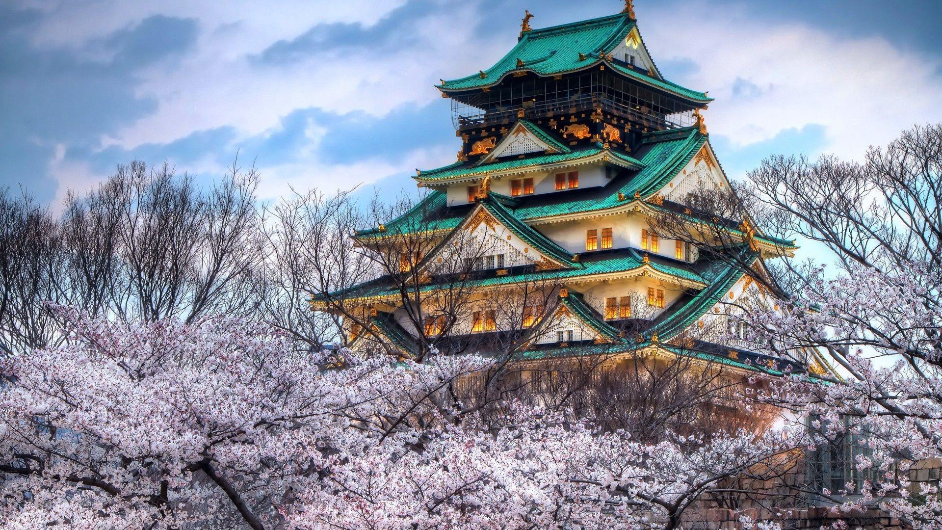 Japanese Spring Wallpapers - Top Free Japanese Spring Backgrounds ...