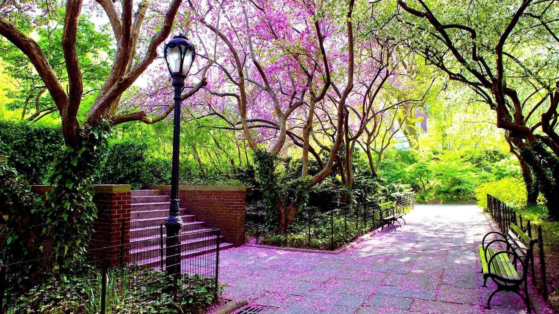 Japanese Spring Wallpapers - Top Free Japanese Spring Backgrounds ...