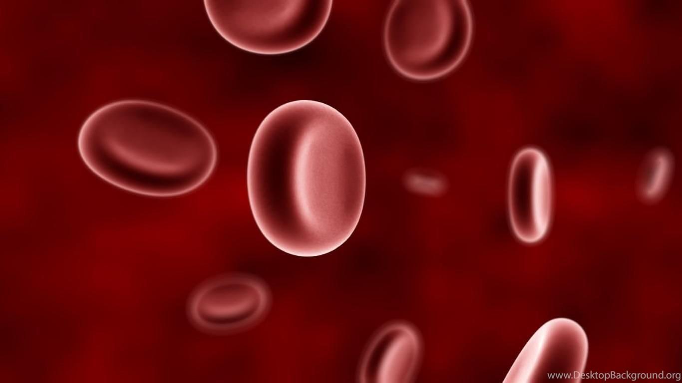 Blood Cells Wallpapers - Top Free Blood Cells Backgrounds - WallpaperAccess
