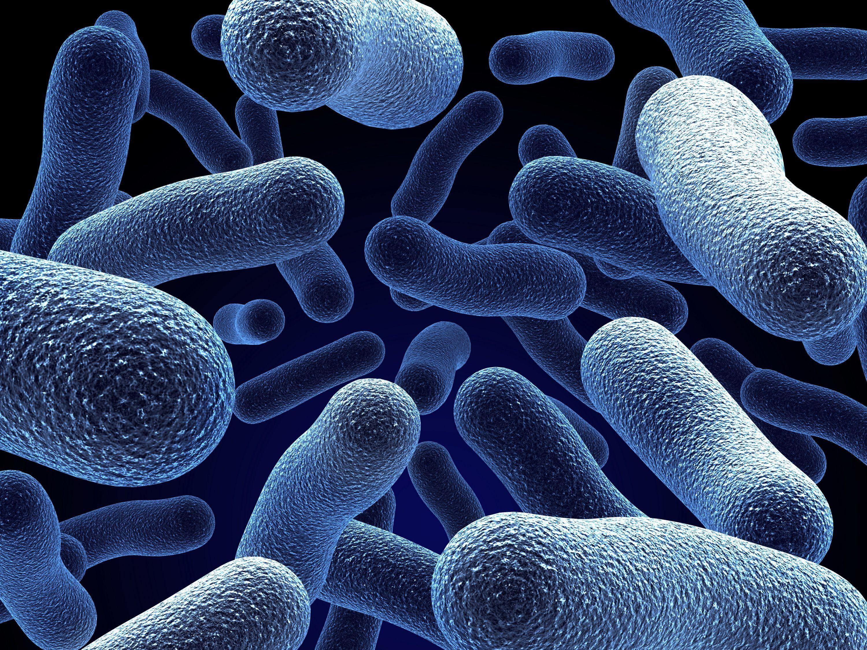 Germs Wallpapers - Top Free Germs Backgrounds - WallpaperAccess