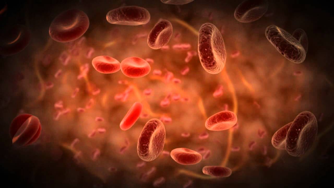 Blood Cell Wallpapers - Top Free Blood Cell Backgrounds - WallpaperAccess