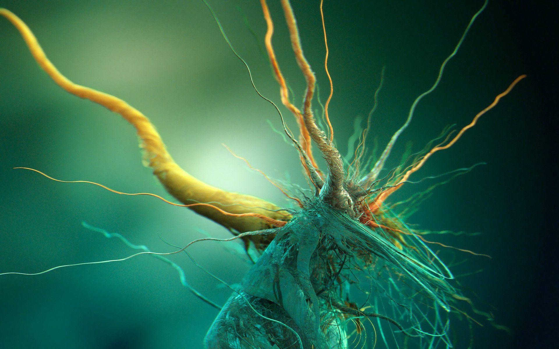 Microbes Wallpapers - Top Free Microbes Backgrounds - WallpaperAccess