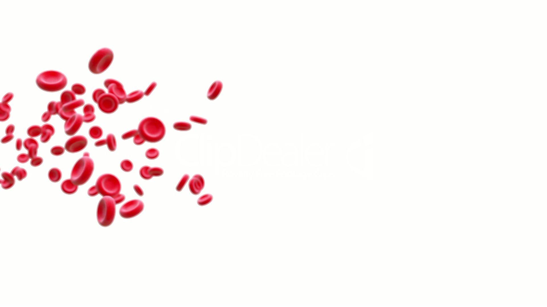 Blood Cell Wallpapers - Top Free Blood Cell Backgrounds - WallpaperAccess