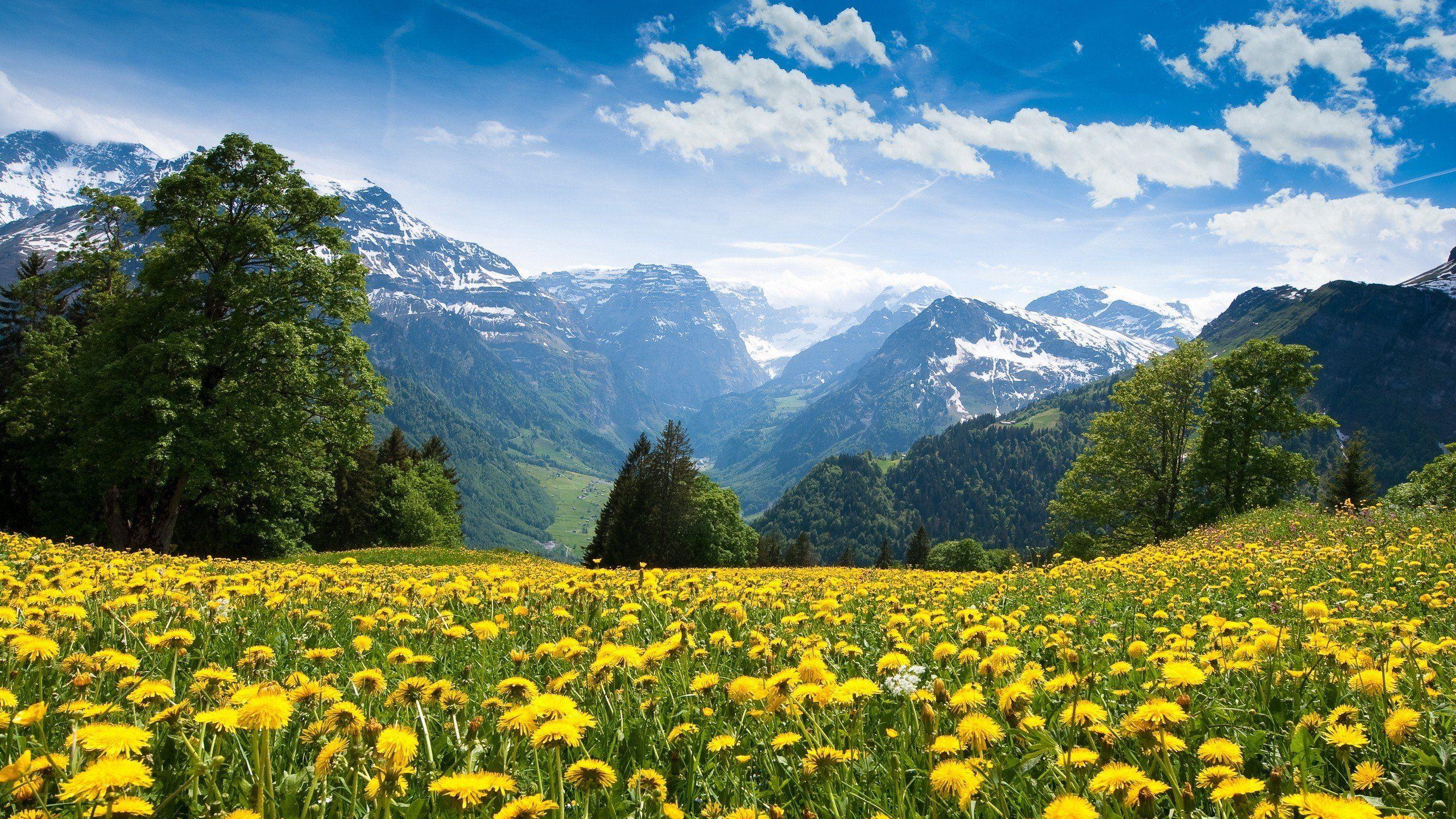 Spring Mountain Wallpapers - Top Free Spring Mountain Backgrounds ...