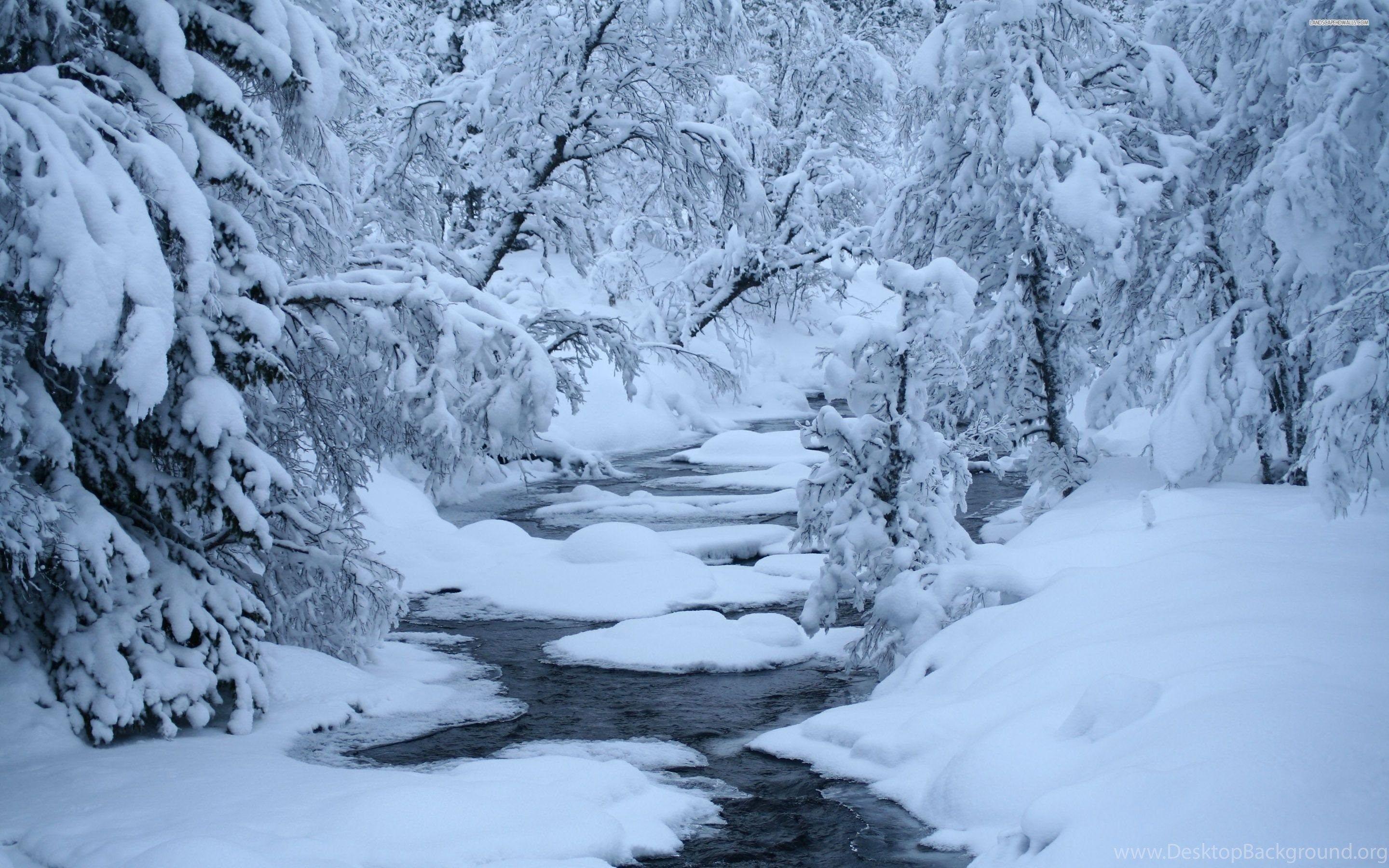 Calm Winter Wallpapers - Top Free Calm Winter Backgrounds - WallpaperAccess