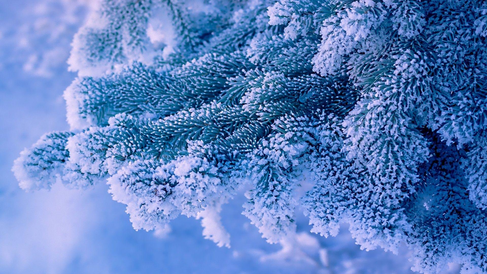 Frost HD Wallpapers - Top Free Frost HD Backgrounds - WallpaperAccess