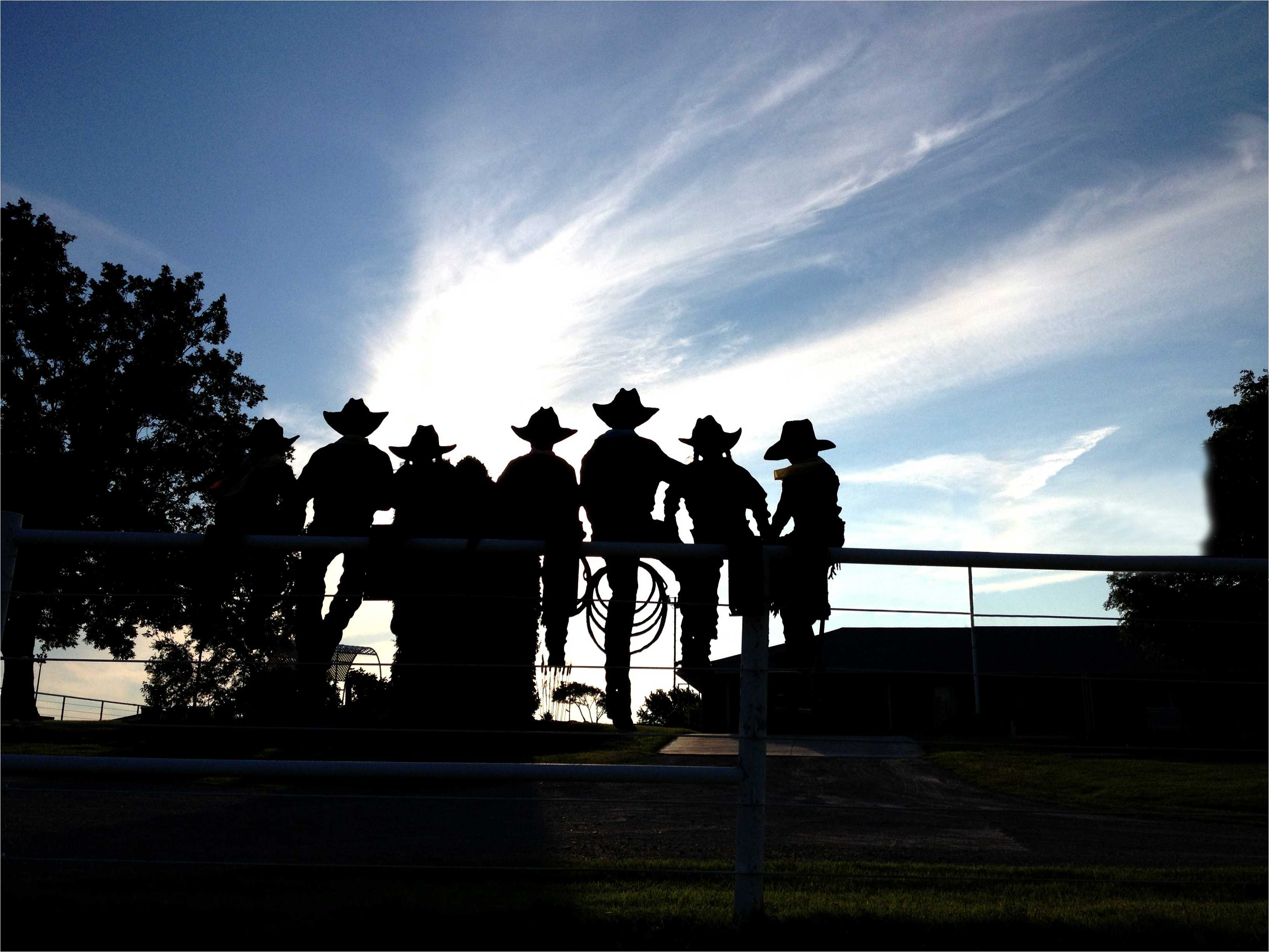 Rodeo Wallpapers - Top Free Rodeo Backgrounds - WallpaperAccess