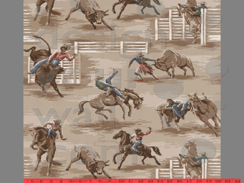Rodeo Wallpapers - Top Free Rodeo Backgrounds - WallpaperAccess
