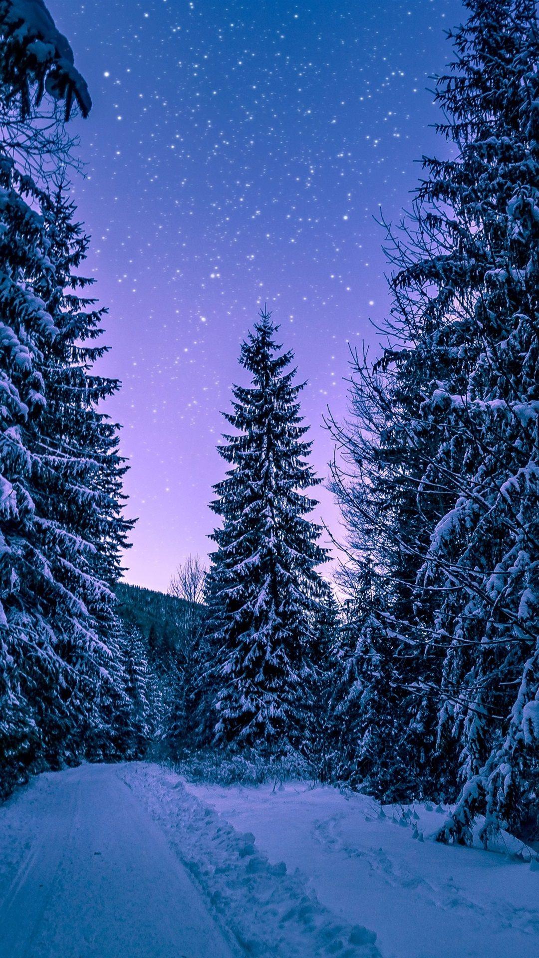 Starry Forest Wallpapers - Top Free Starry Forest Backgrounds ...