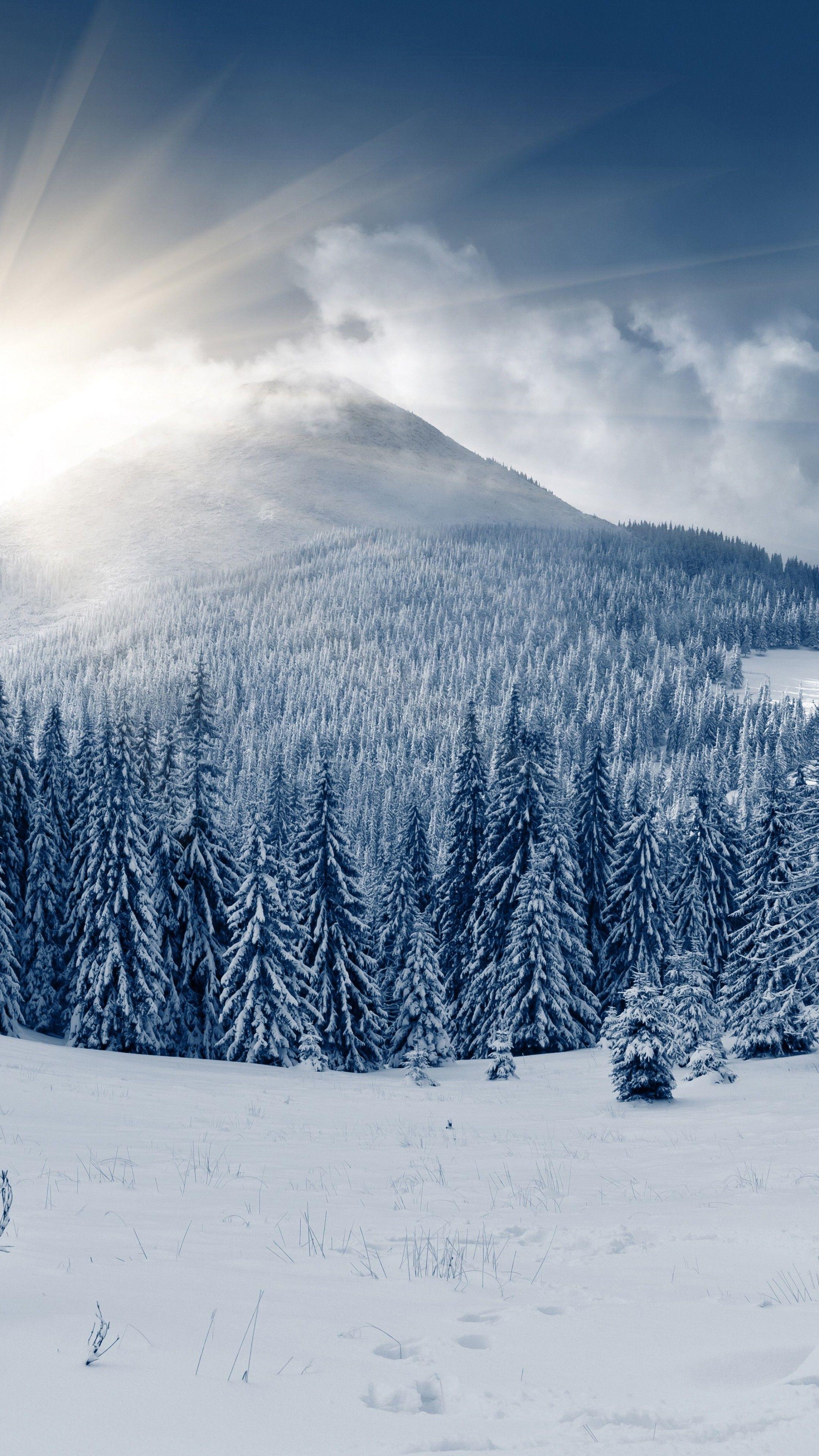 Winter Phone 4k Wallpapers - Top Free Winter Phone 4k Backgrounds ...