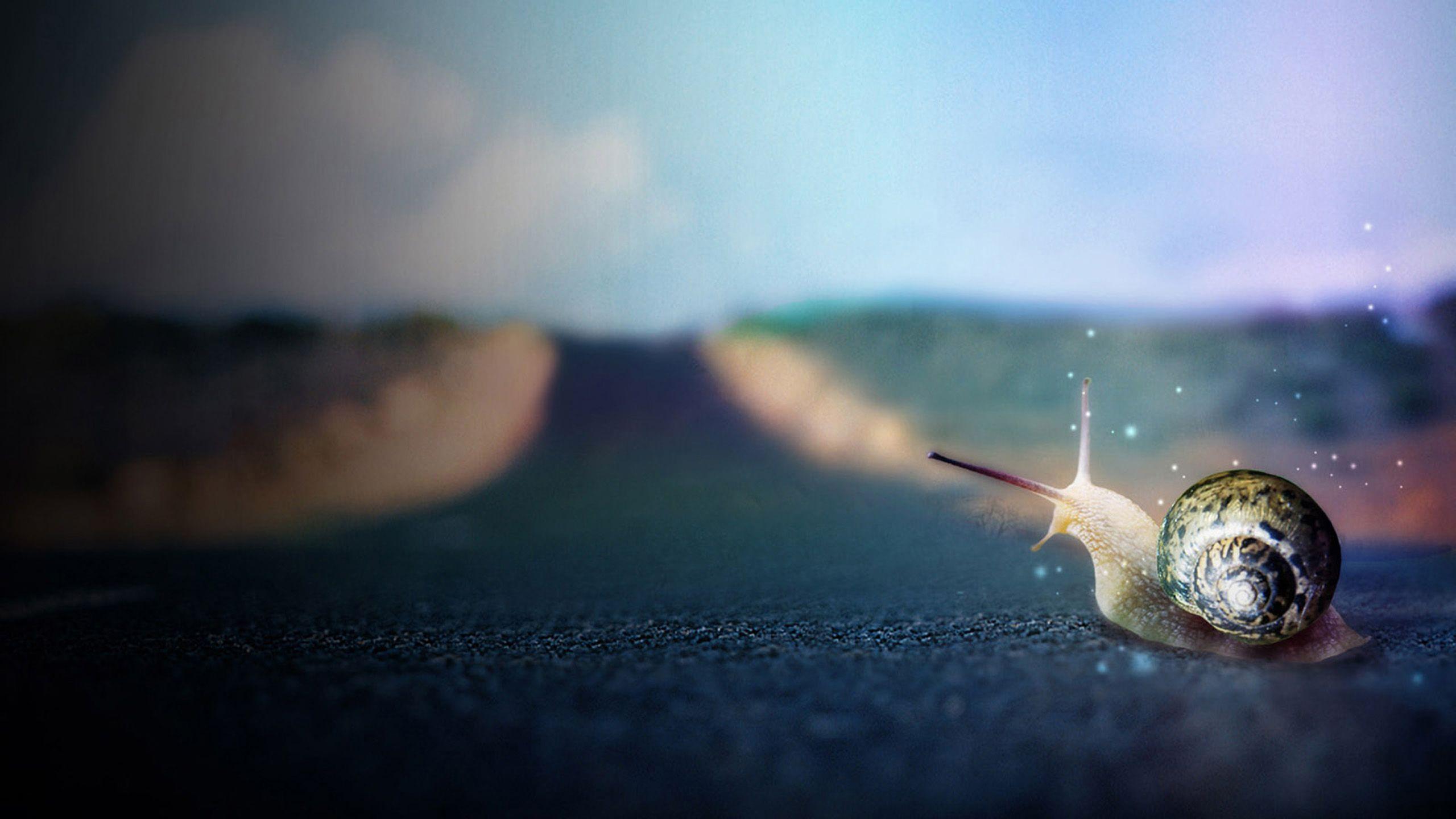 Strong HD Wallpapers - Top Free Strong HD Backgrounds - WallpaperAccess