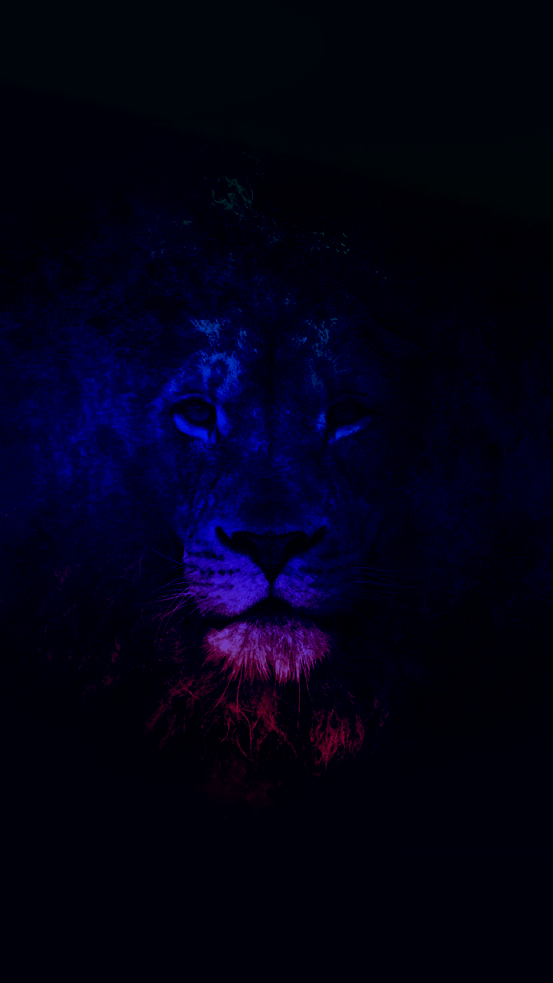 Lion Phone Wallpapers - Top Free Lion Phone Backgrounds - WallpaperAccess