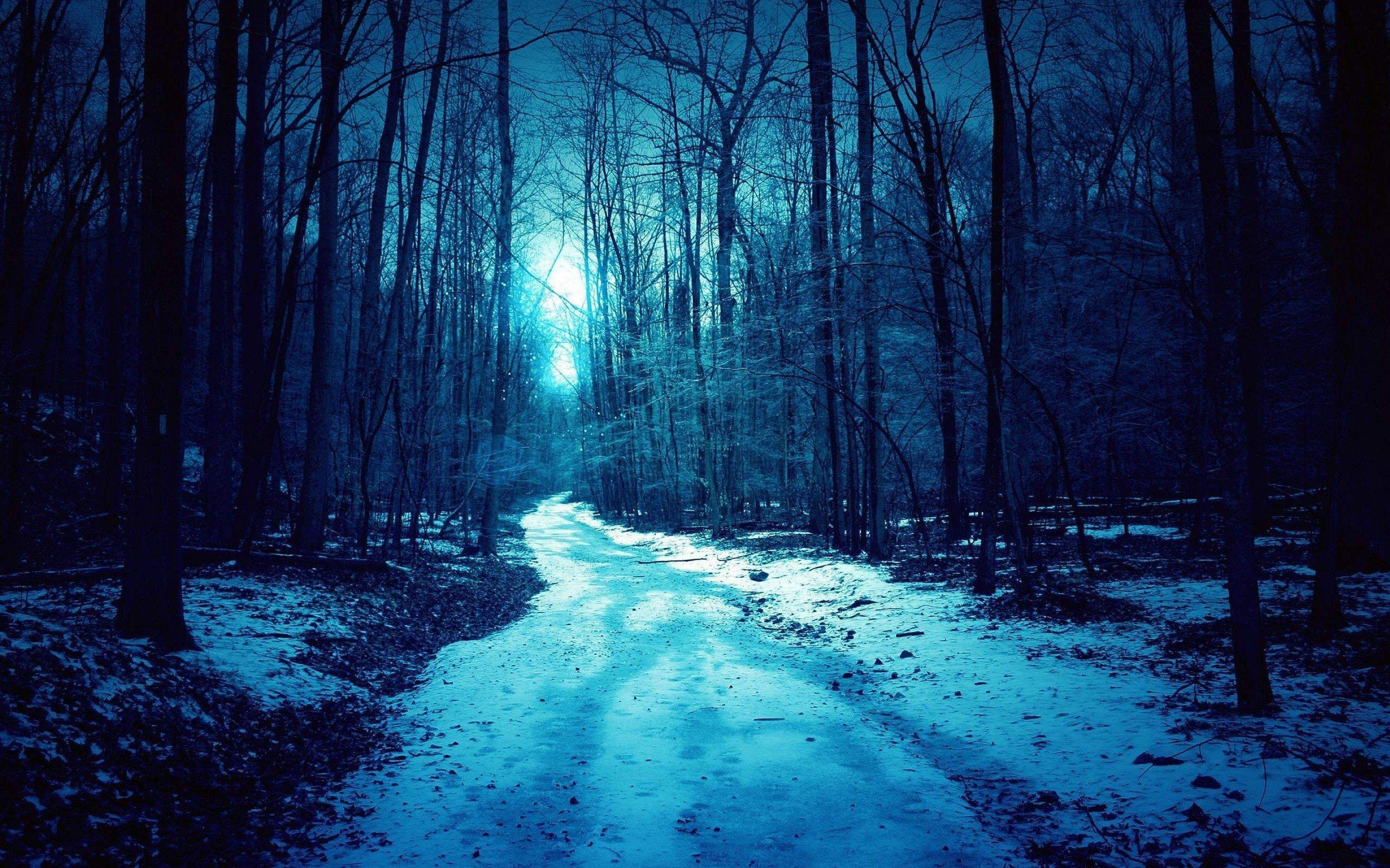 Dark Winter Forest Wallpapers - Top Free Dark Winter Forest Backgrounds ...