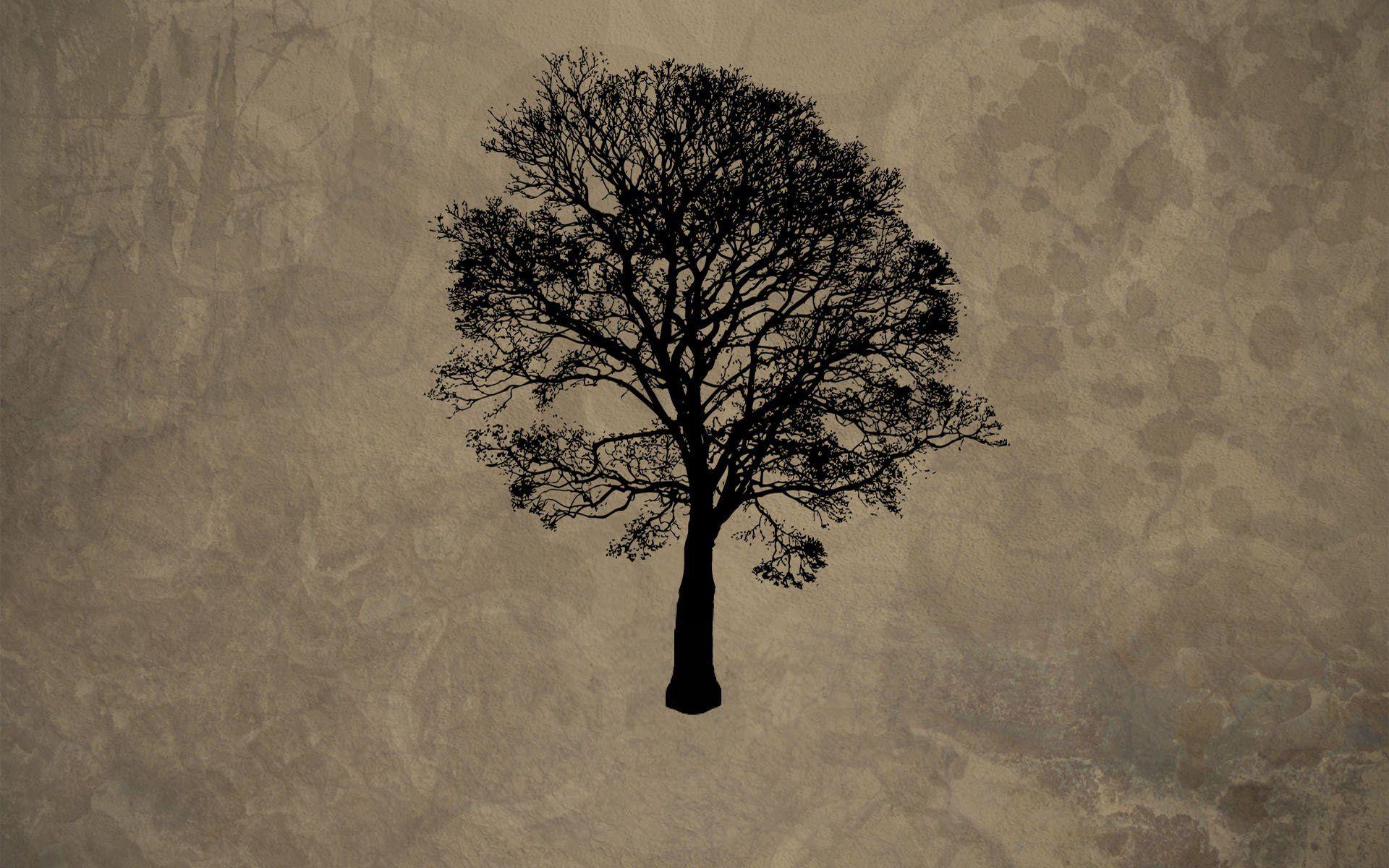 Tree Root Wallpapers - Top Free Tree Root Backgrounds - WallpaperAccess