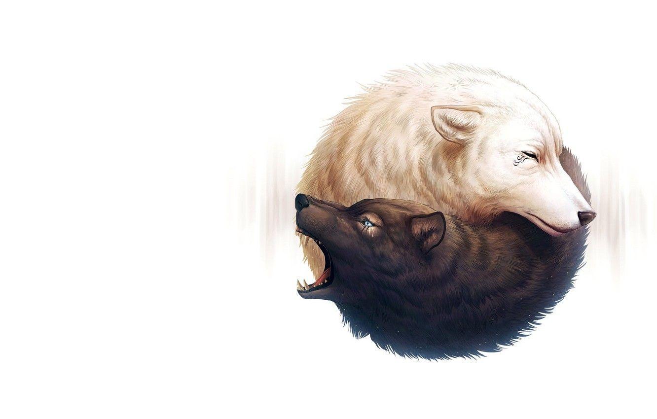Yin Yang Wolf Wallpapers - Top Free Yin Yang Wolf Backgrounds ...