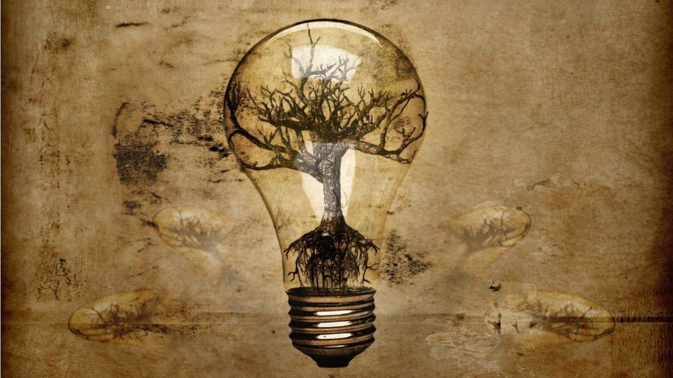 Tree Roots Wallpapers - Top Free Tree Roots Backgrounds - WallpaperAccess