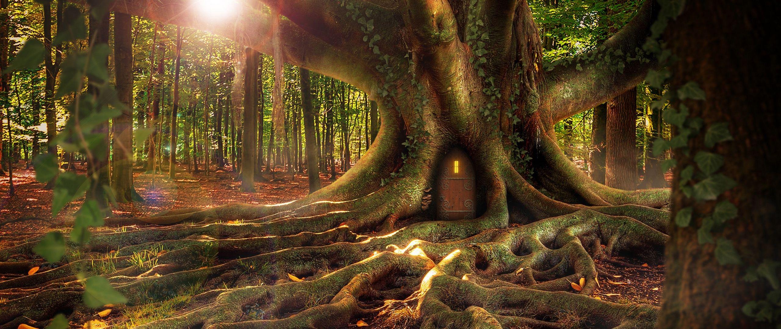 Tree Roots Wallpapers - Top Free Tree Roots Backgrounds - WallpaperAccess