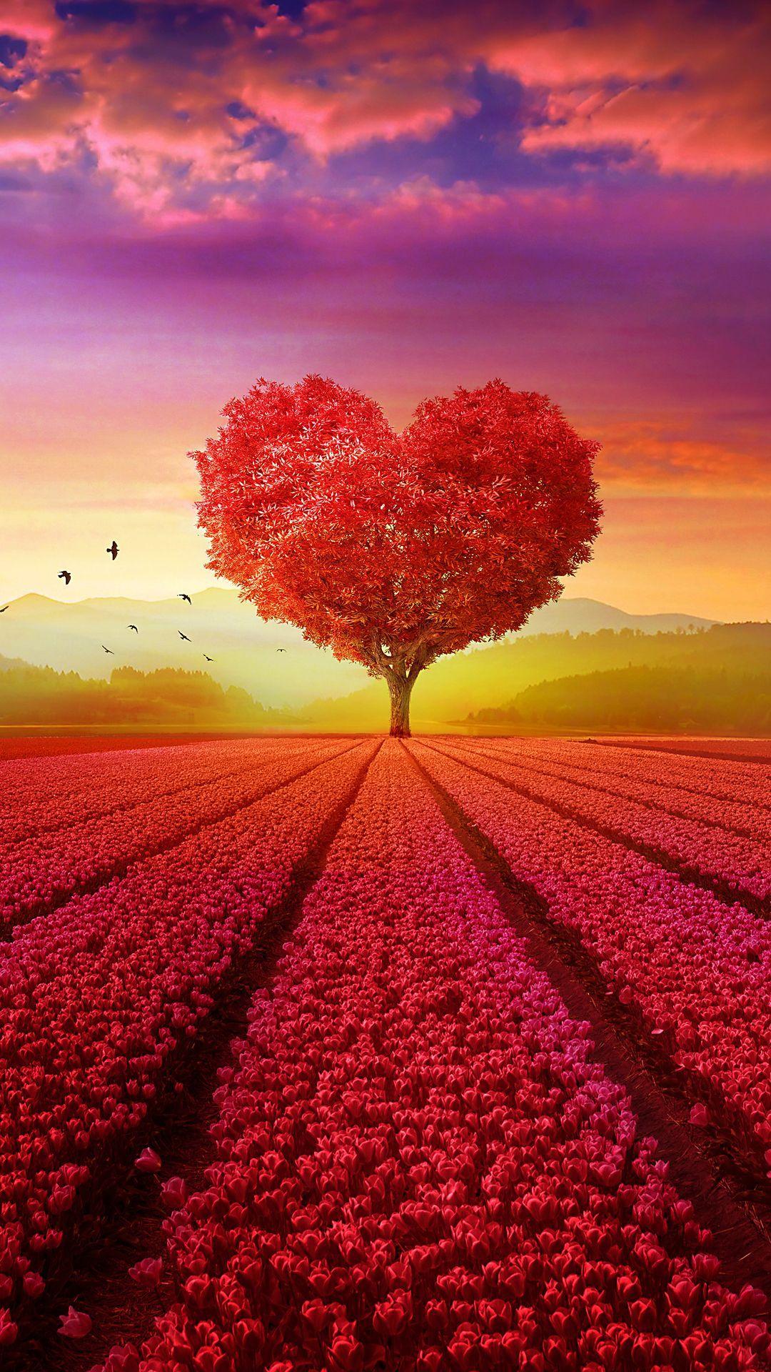Heart Tree Wallpapers - Top Free Heart Tree Backgrounds - WallpaperAccess
