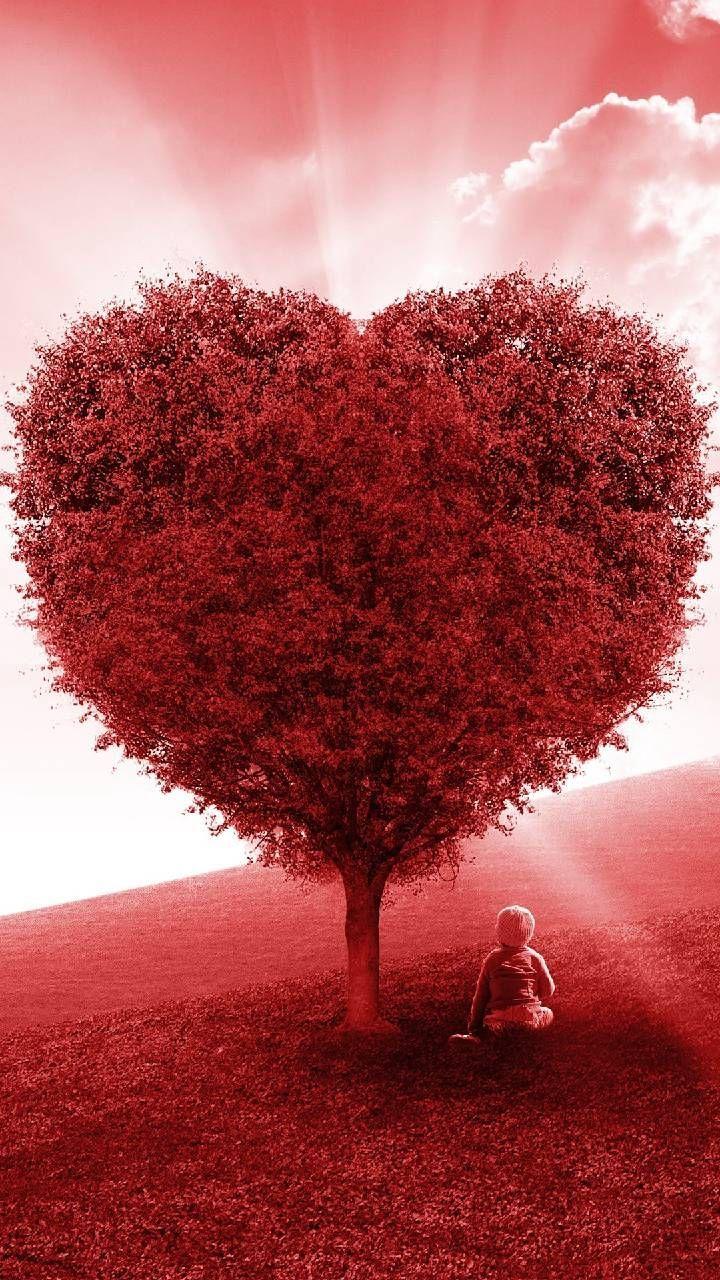 Heart Tree Wallpapers - Top Free Heart Tree Backgrounds - WallpaperAccess