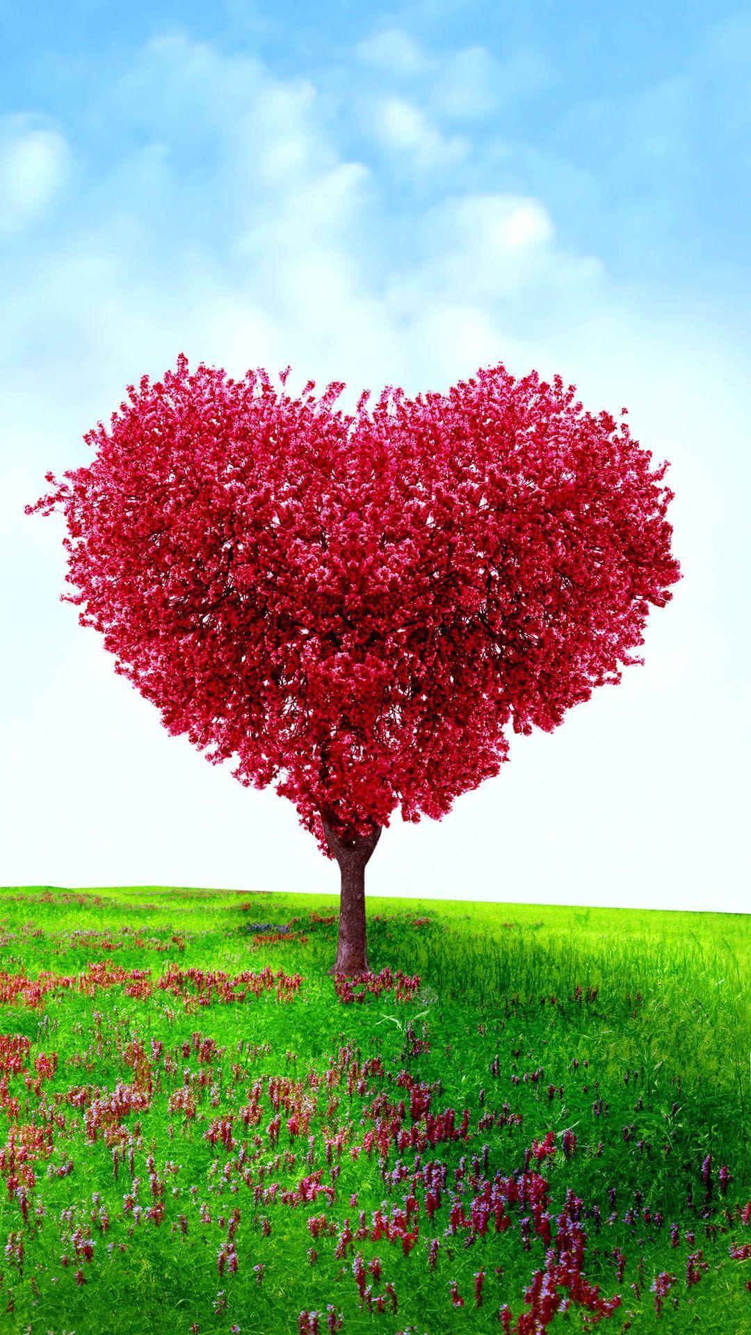 Heart Tree Wallpapers - Top Free Heart Tree Backgrounds - WallpaperAccess